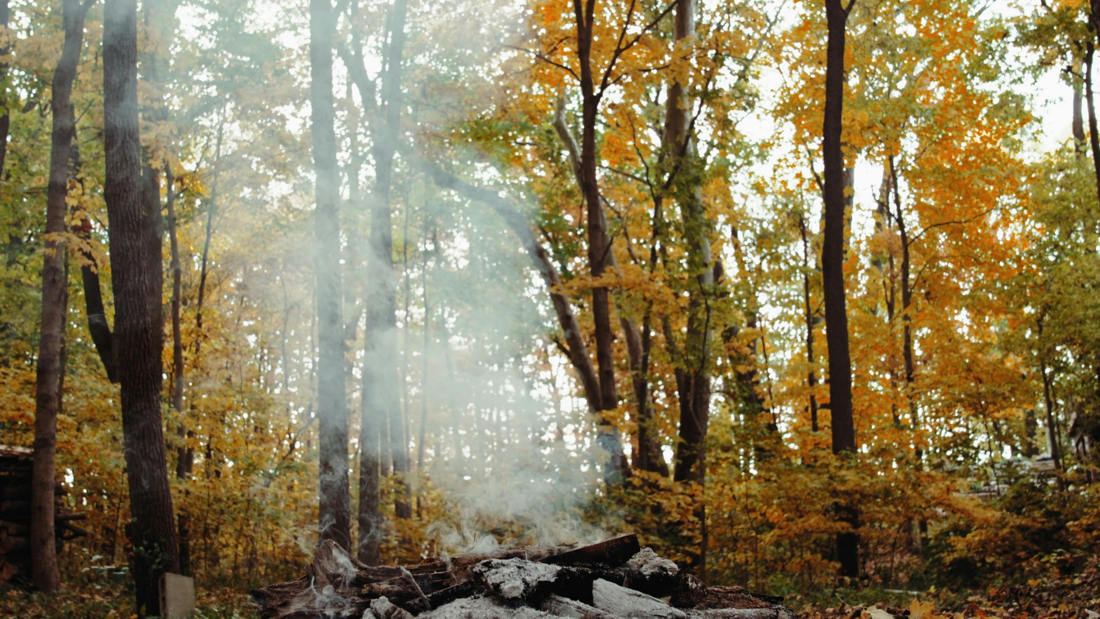 Ash Fall Videos, Download The BEST Free 4k Stock Video Footage & Ash ...