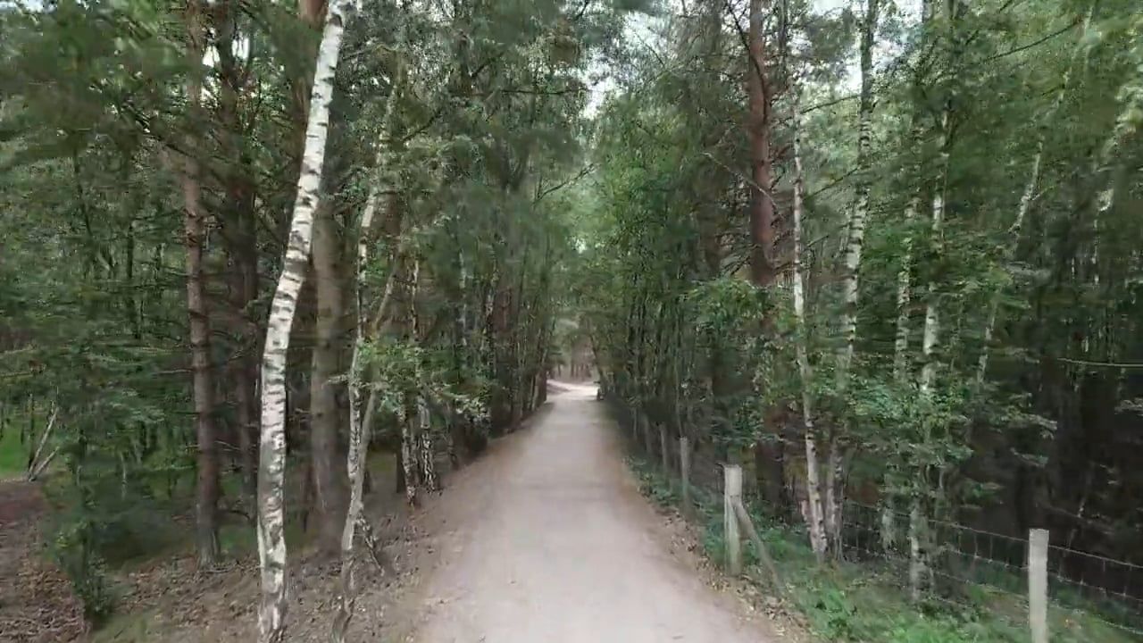 An Off Road Cutting Trough The Forest Free Stock Video Footage, Royalty ...