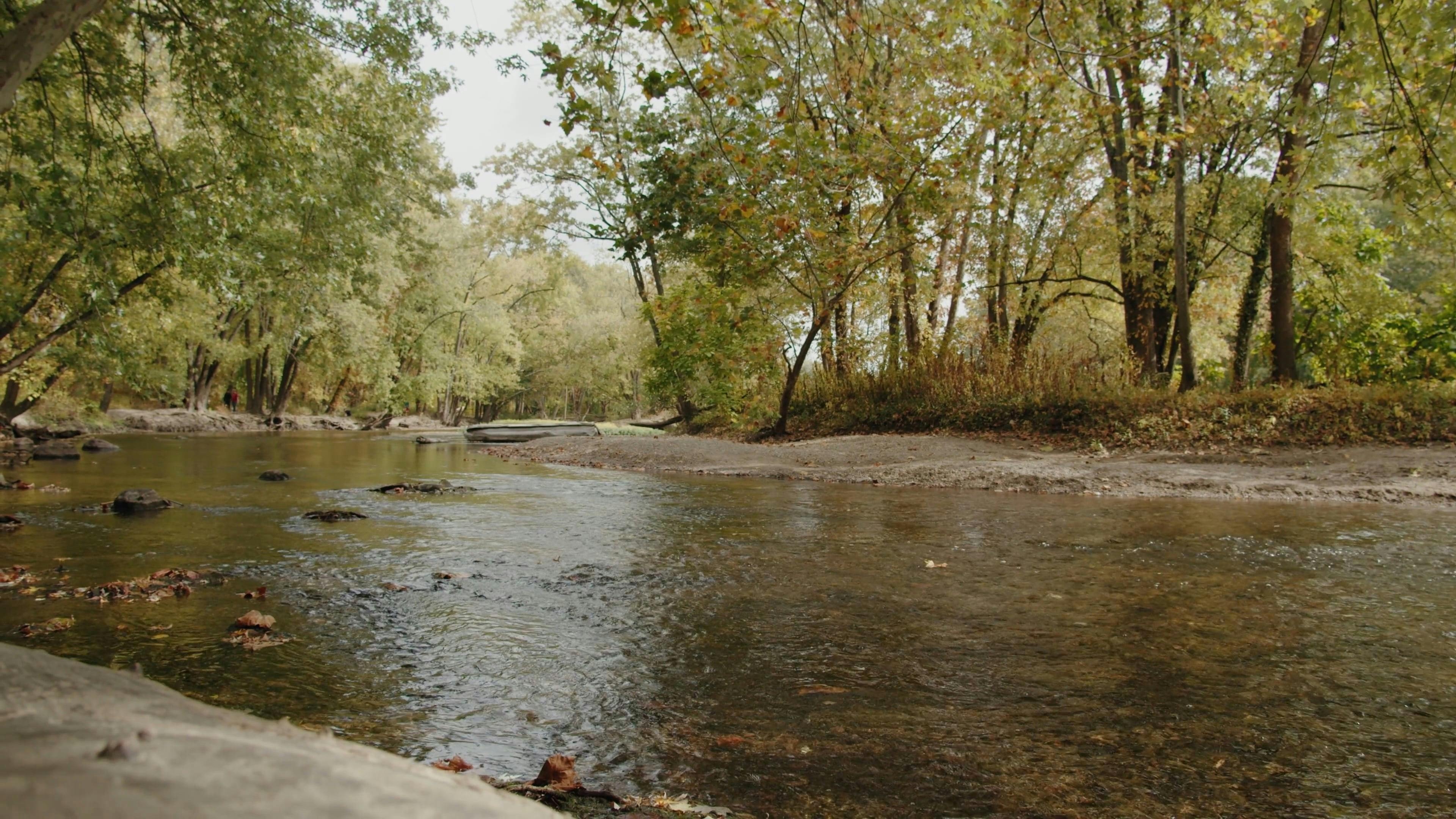 A Shallow Body of Water in the Wilderness Free Stock Video Footage ...