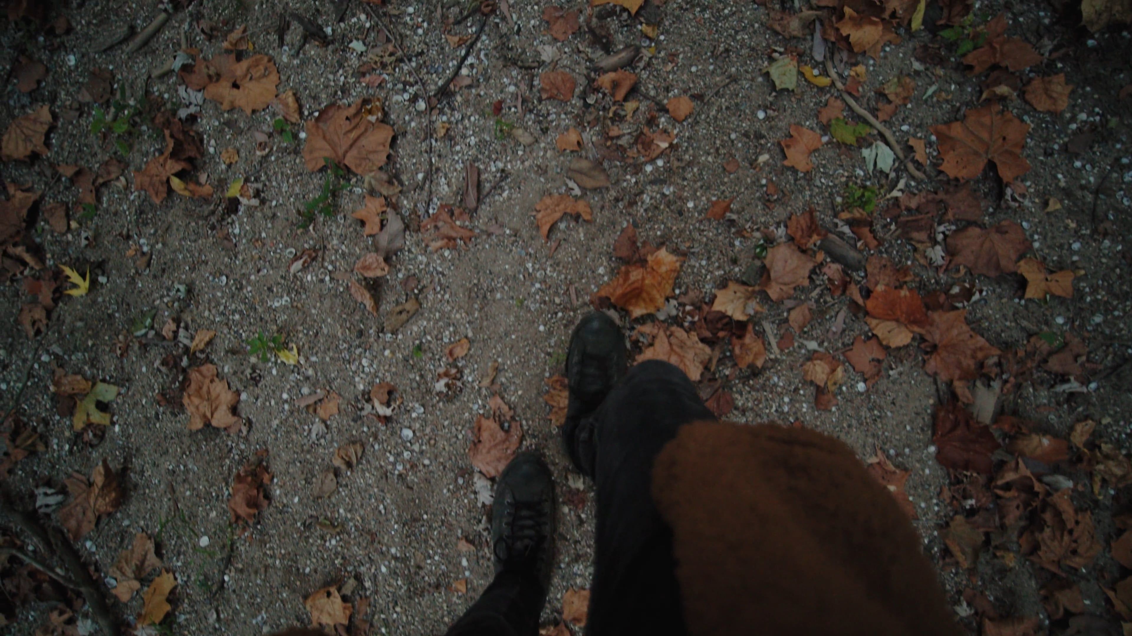 Ground Level Pov Videos, Download The BEST Free 4k Stock Video Footage ...