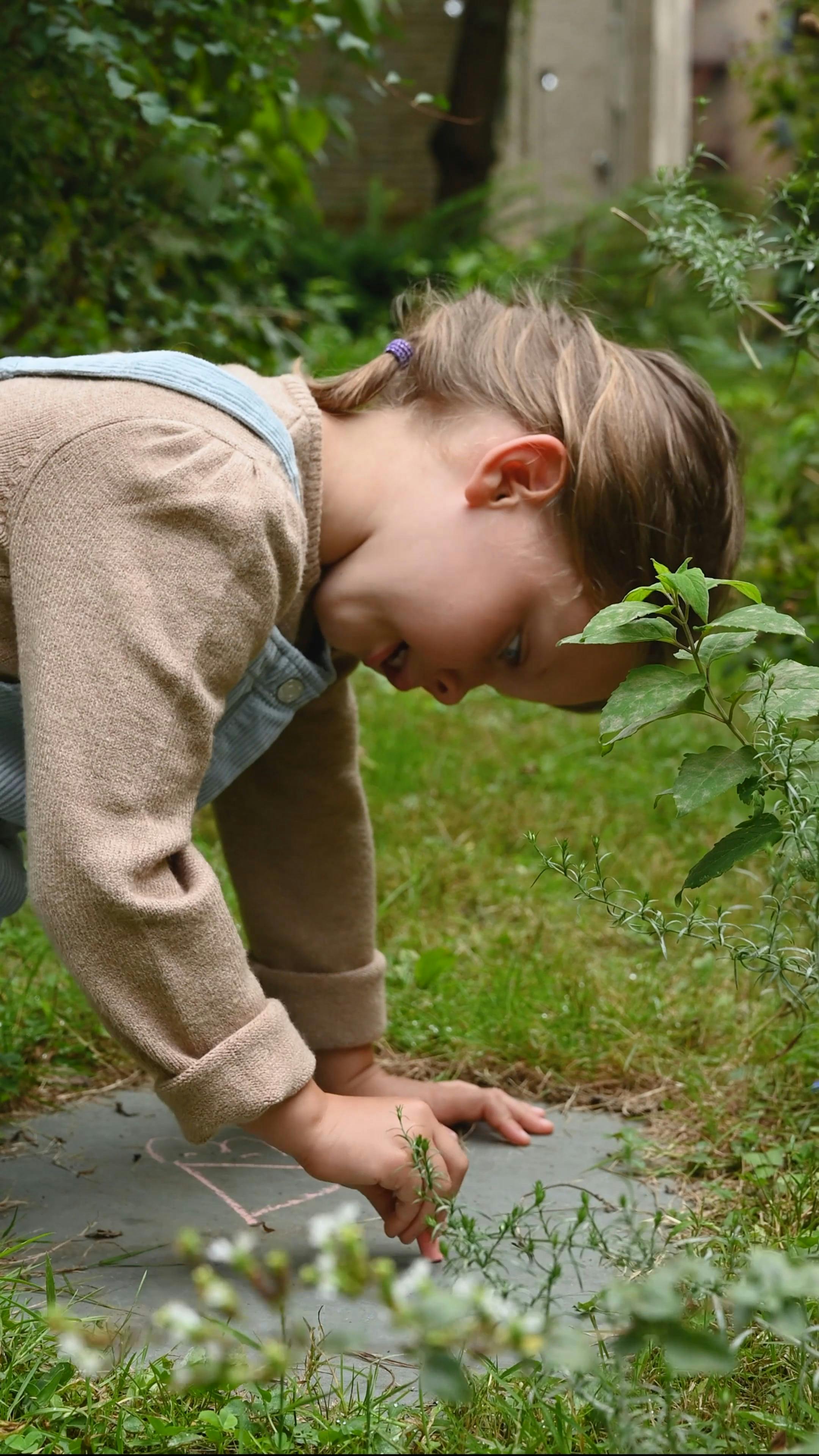 Kids Draw Videos, Download The BEST Free 4k Stock Video Footage & Kids ...