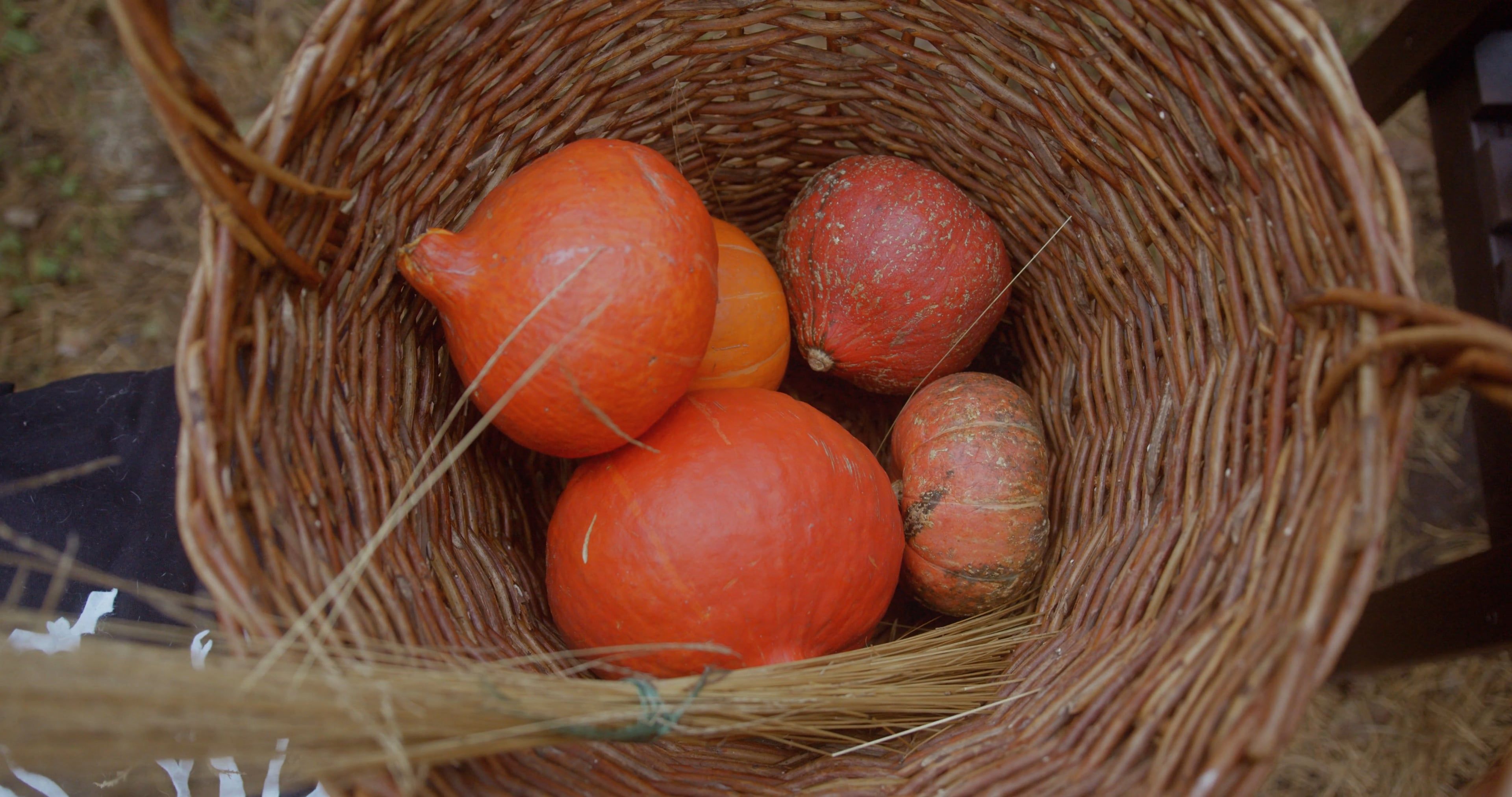 Pumpkin on the Basket Free Stock Video Footage, Royalty-Free 4K & HD ...