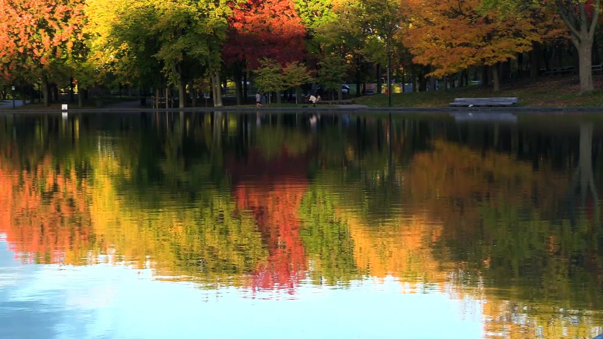 A Lake Surrounded By Trees With Autumn Leaves Free Stock Video Footage ...