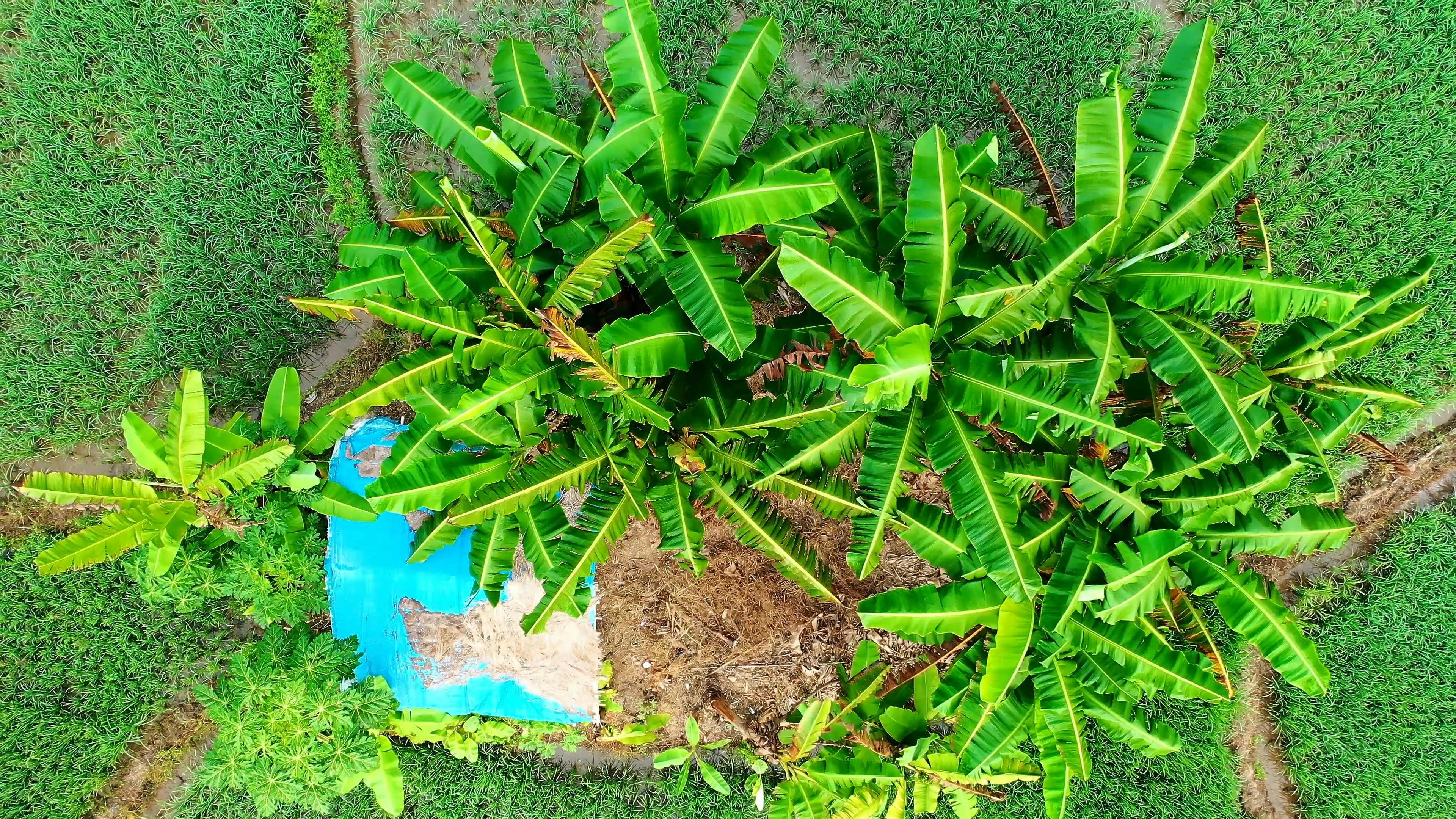 Aerial Footage of a Field Free Stock Video Footage, Royalty-Free 4K ...