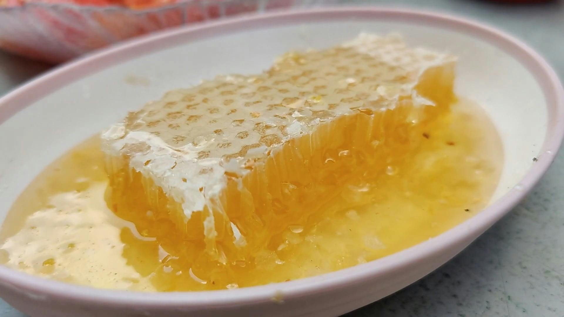 Plate Bees Videos, Download The BEST Free 4k Stock Video Footage ...