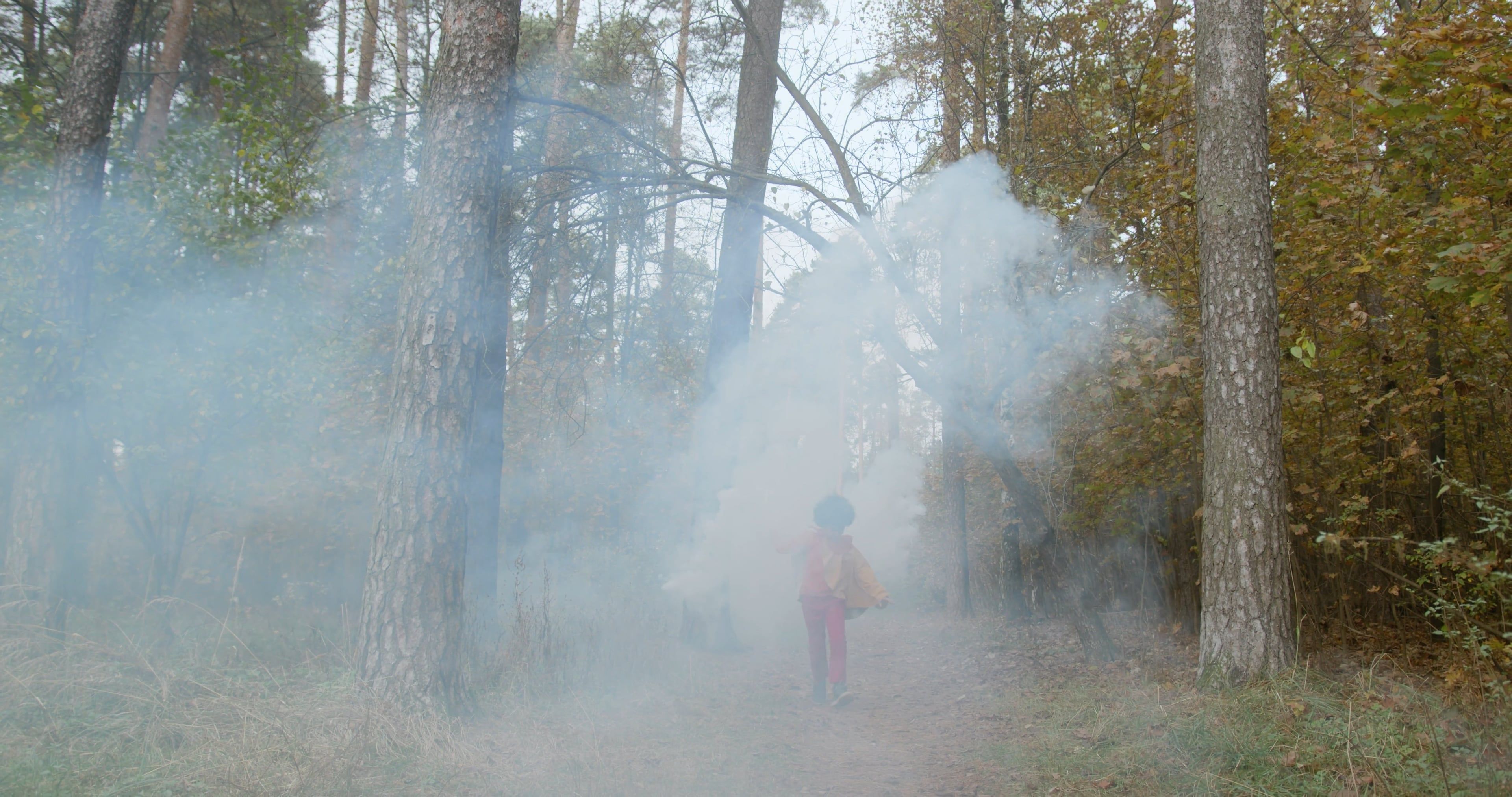 Kid Running while Holding a Smoke Bomb · Free Stock Video