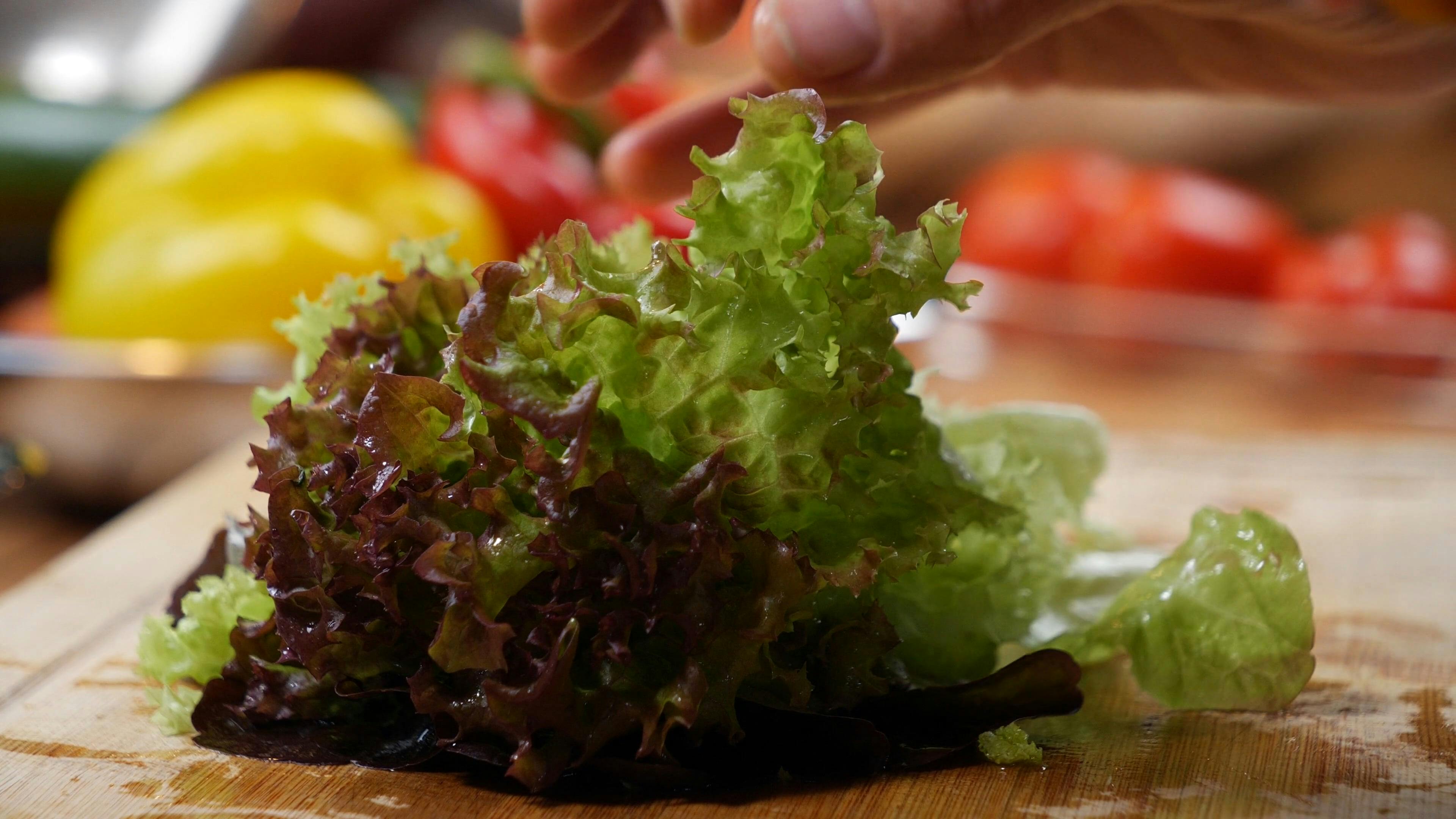 Close Up Video of a Person Slicing Lettuce Free Stock Video Footage ...