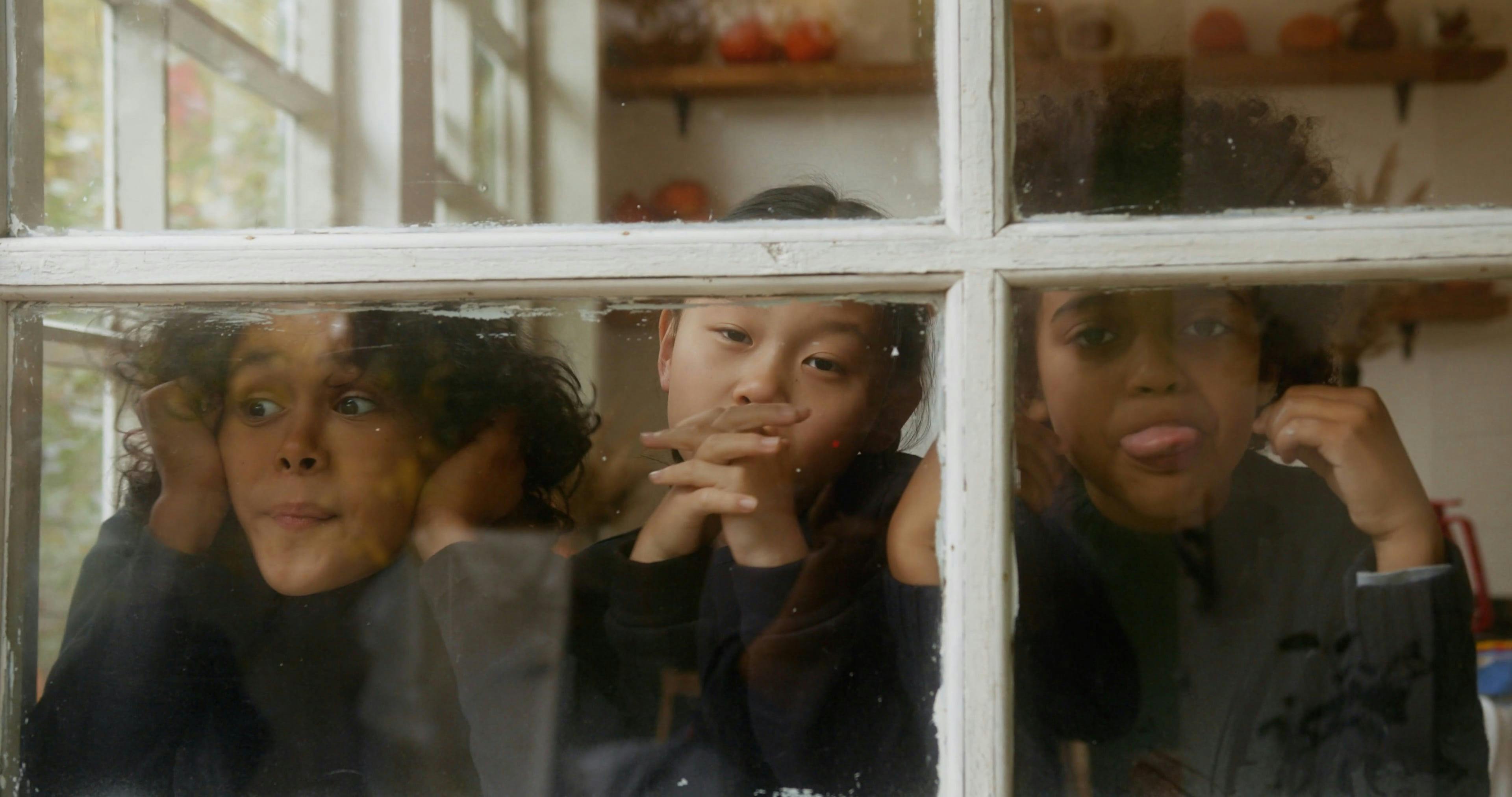 Looking Through The Window Videos, Download The BEST Free 4k Stock ...