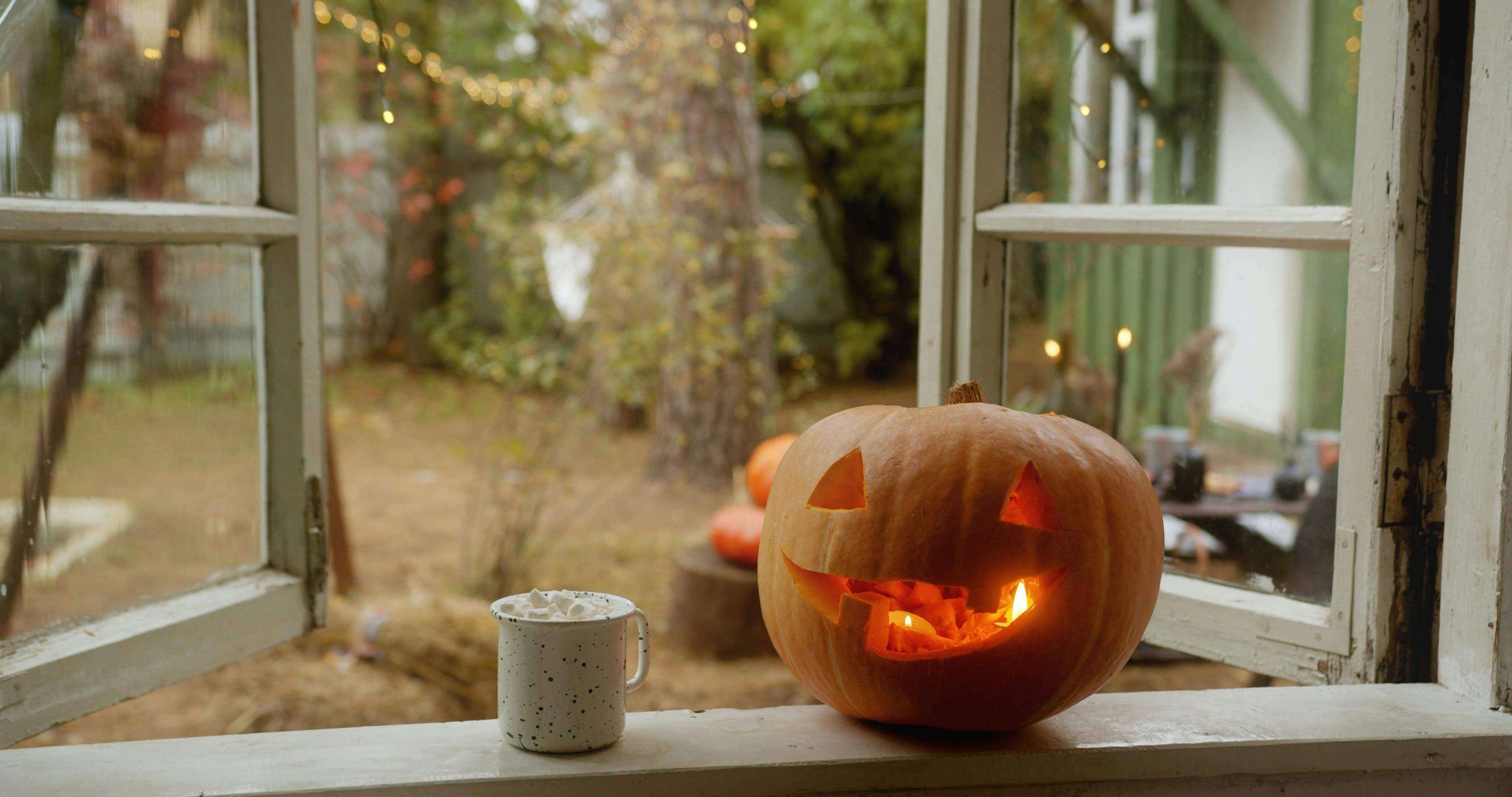 Pumpkin Kids Videos, Download The BEST Free 4k Stock Video Footage ...