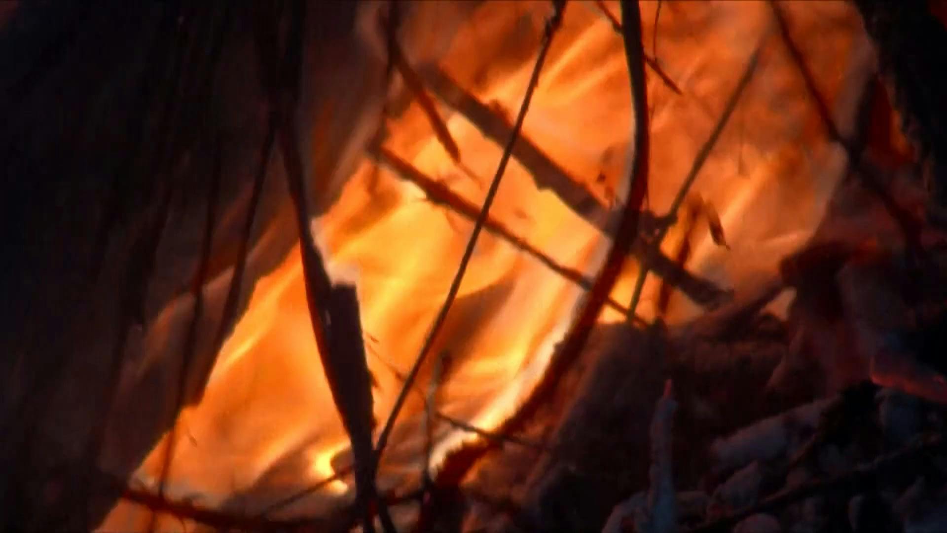 Twigs Burning Close up Free Stock Video Footage, Royalty-Free 4K & HD ...