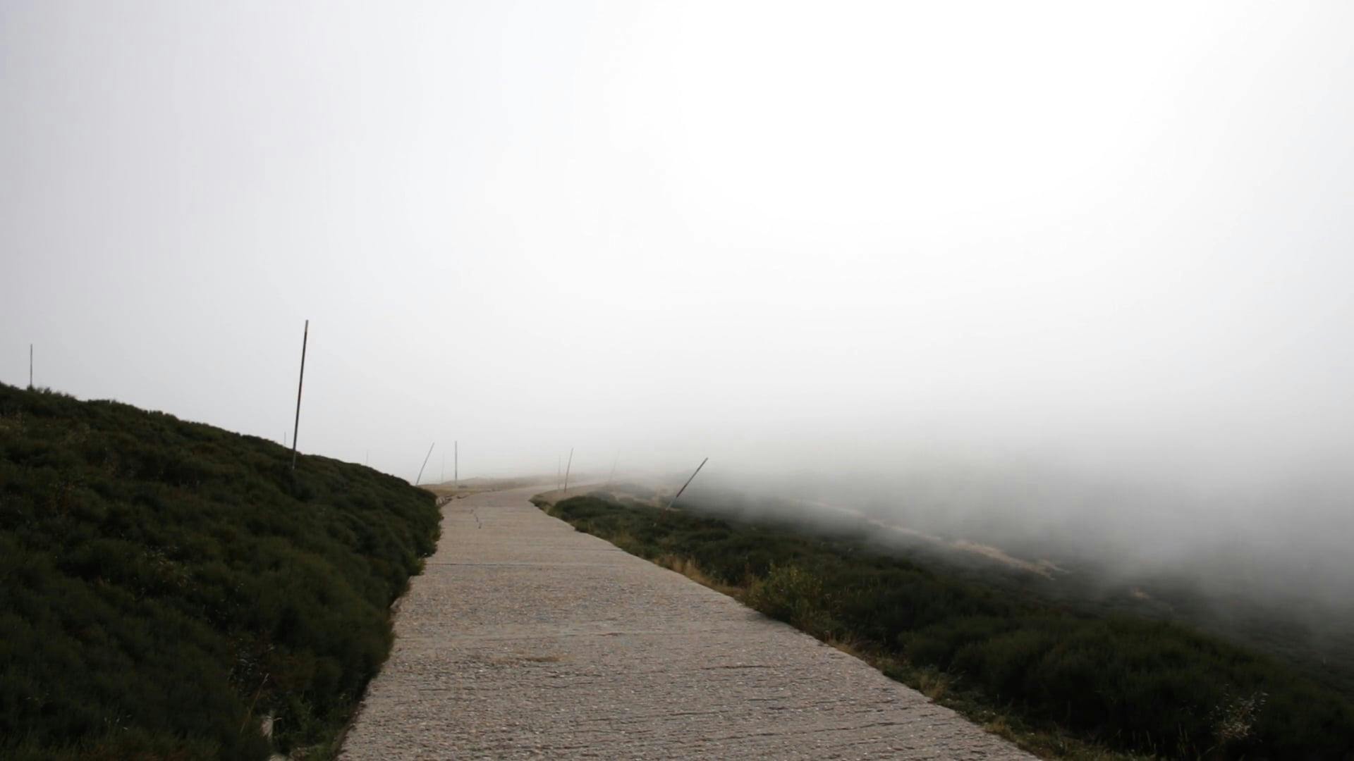 A Foggy Pathway Free Stock Video Footage, Royalty-Free 4K & HD Video Clip