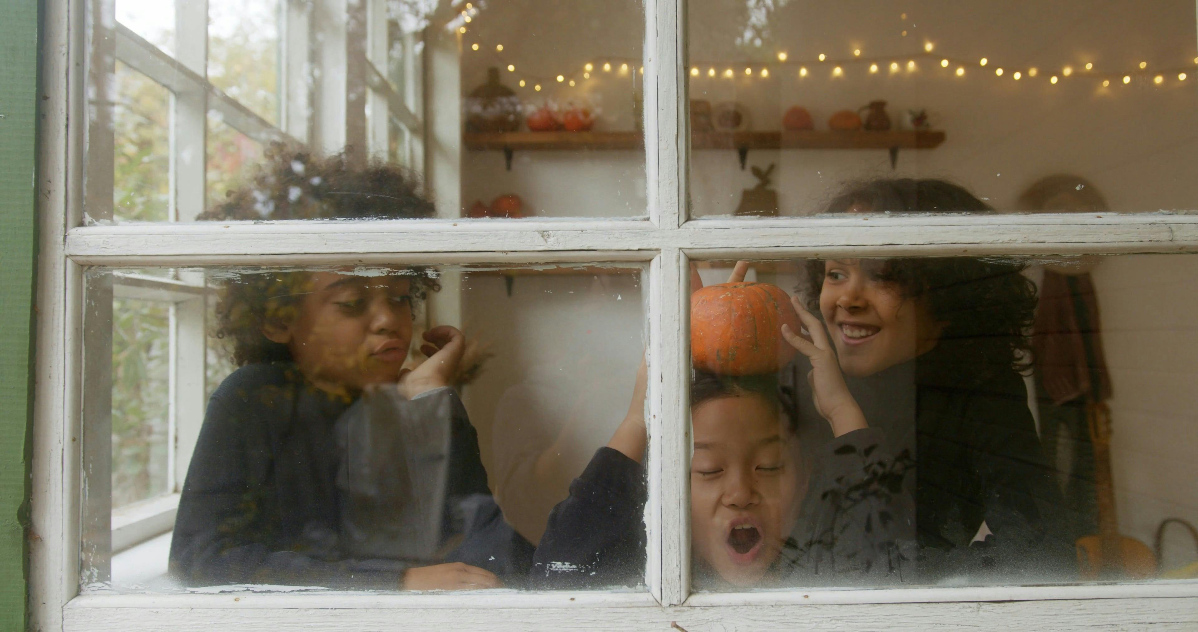 Head Through Ceiling Videos, Download The BEST Free 4k Stock Video Footage & Head Through ...