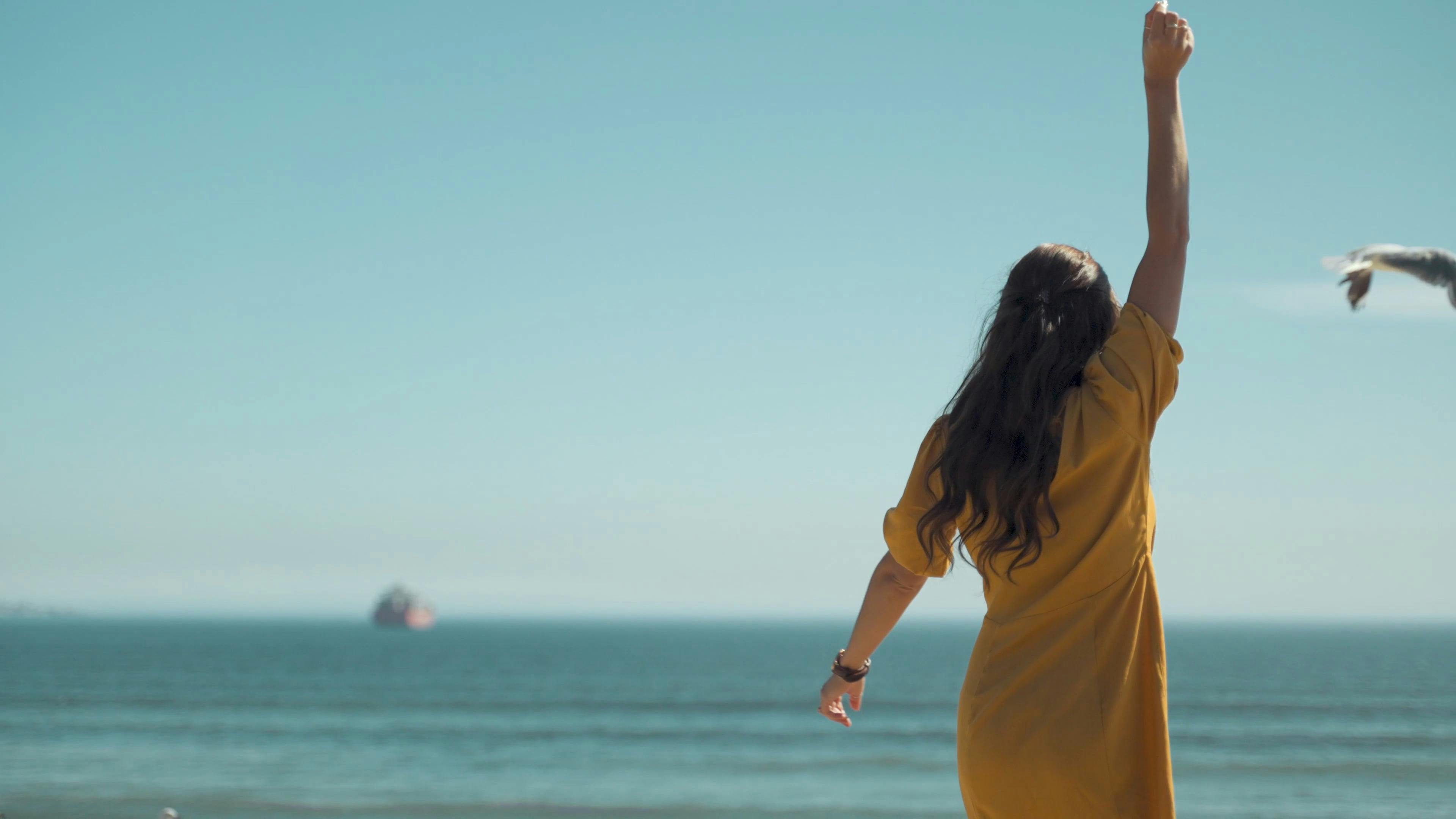 A Woman Dancing with Flying Birds Free Stock Video Footage, Royalty ...