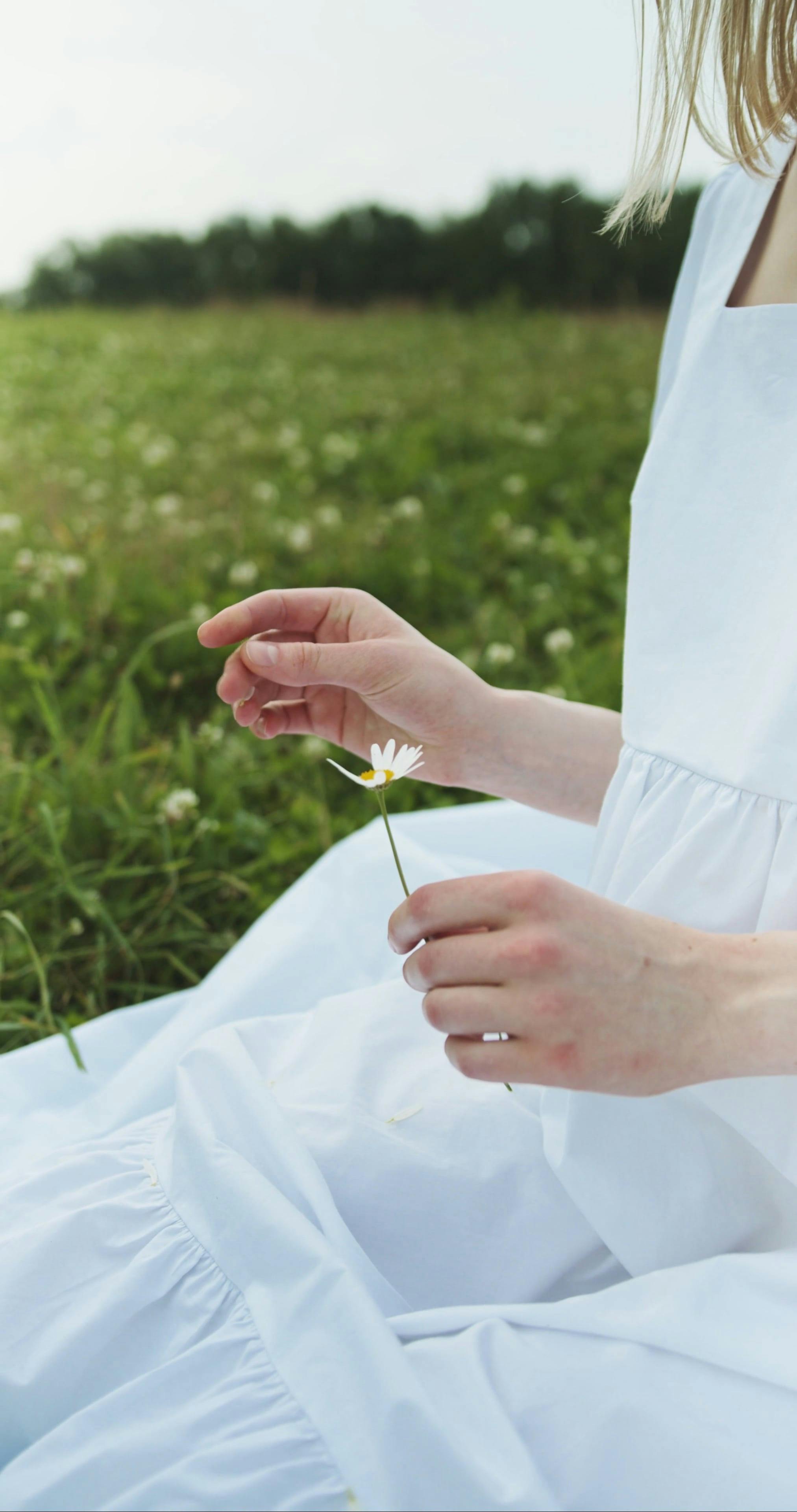 A Woman Removing the Petals of a Flower Free Stock Video Footage ...