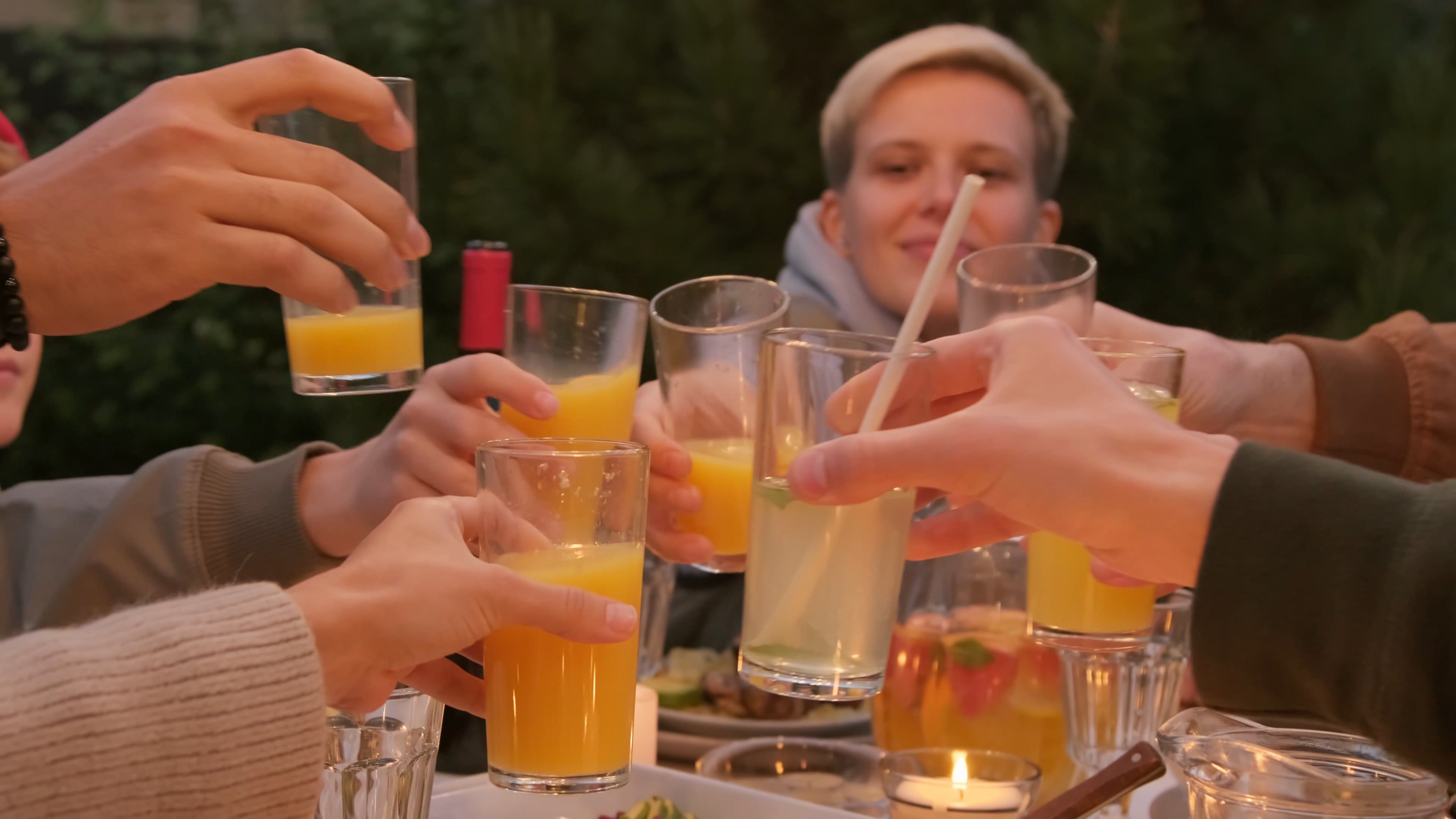 Group of People Having a Toast Free Stock Video Footage, Royalty-Free ...