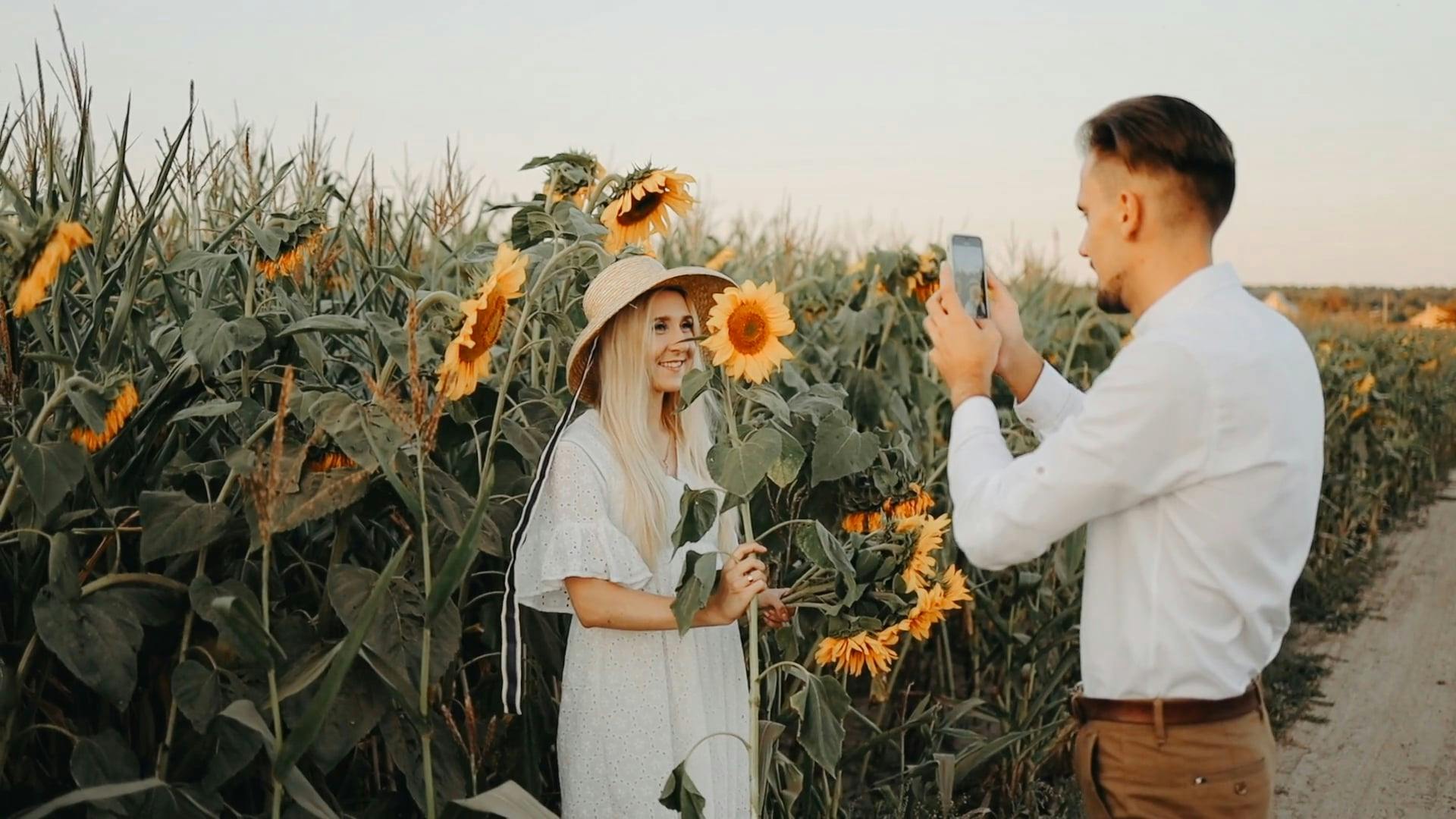 Creating An Account Landscape Videos, Download The BEST Free 4k Stock ...