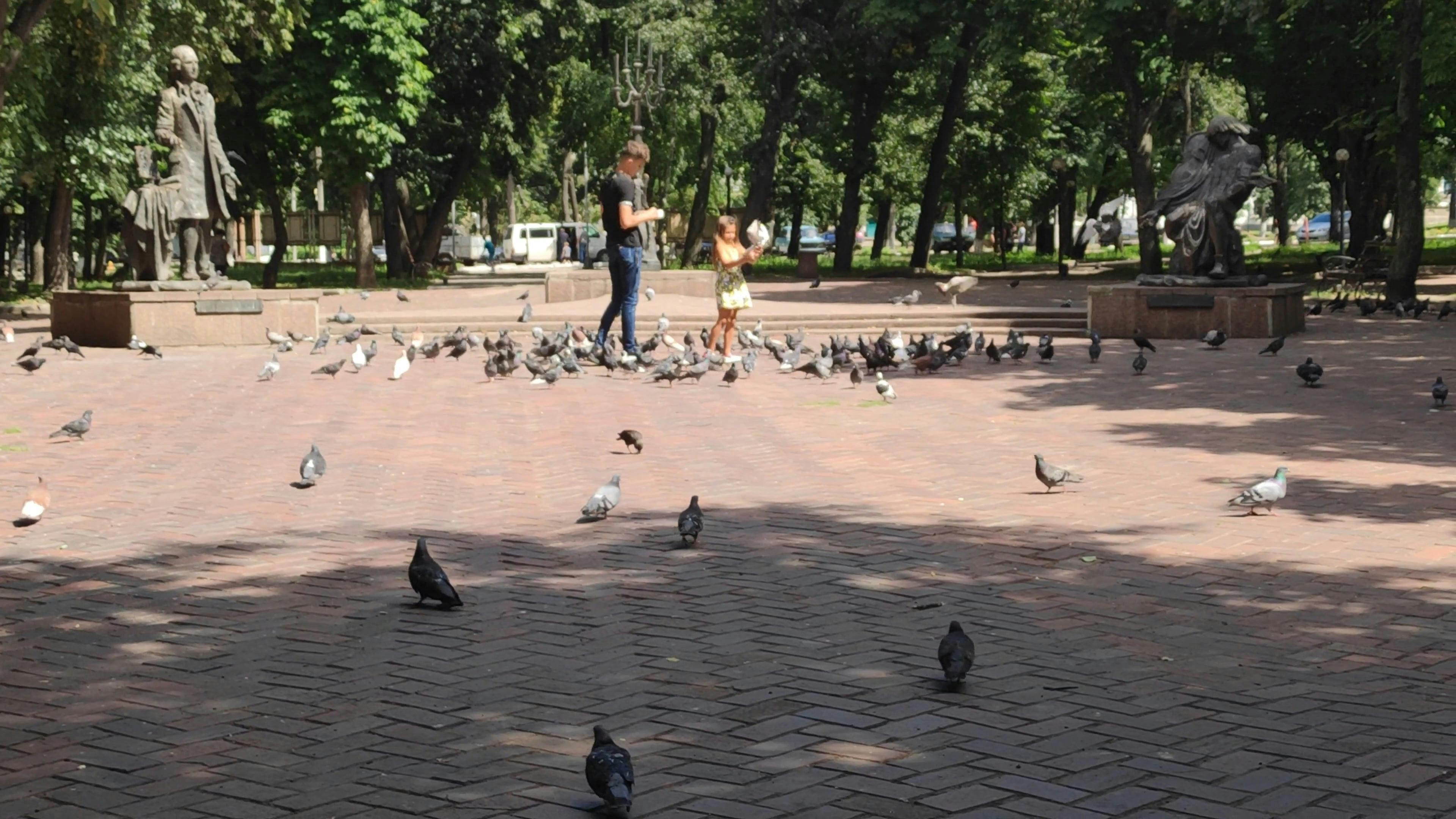 Kids Flock Videos, Download The BEST Free 4k Stock Video Footage & Kids ...