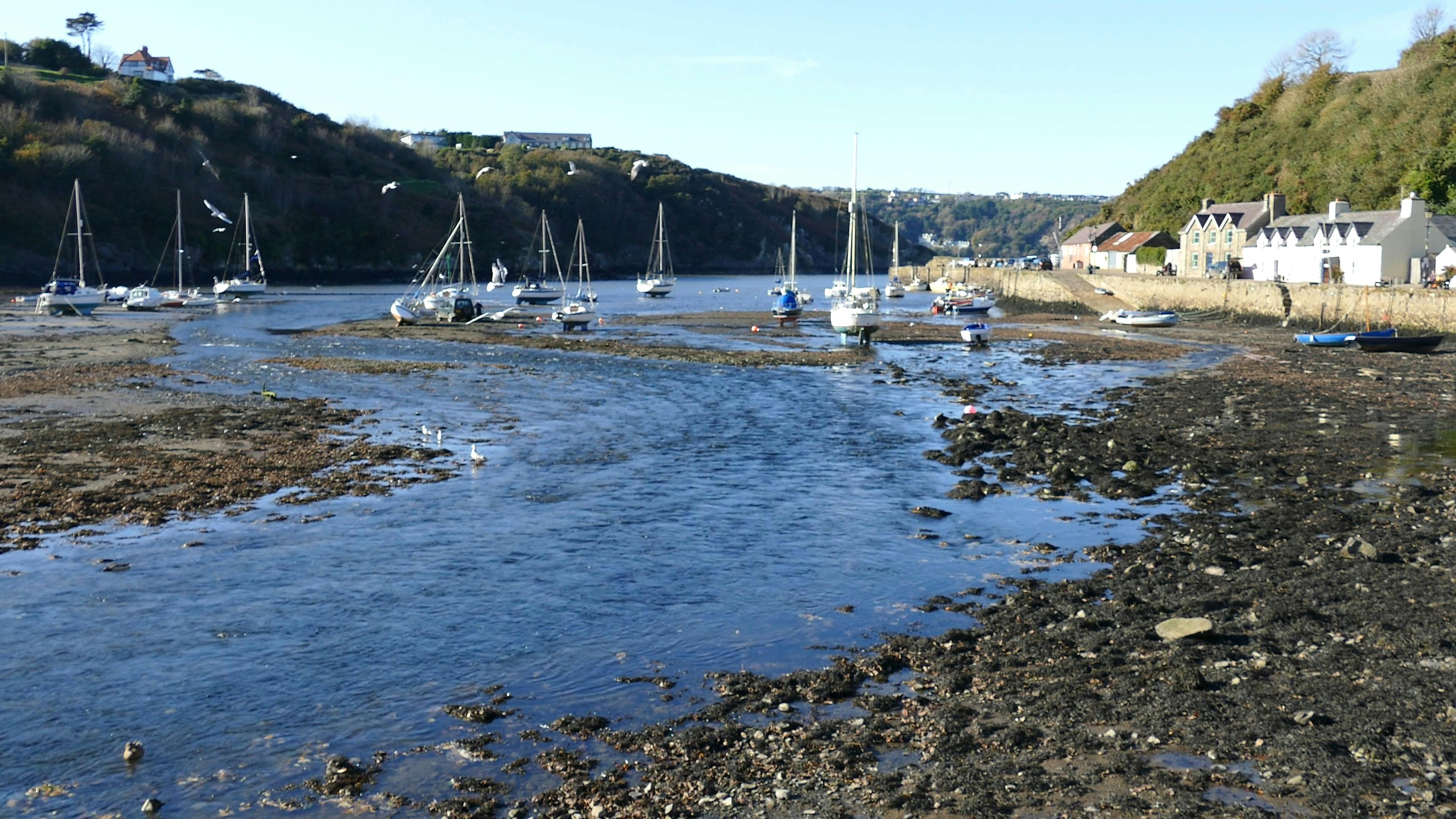 Fishguard Harbour Pembrokeshire · Free Stock Video