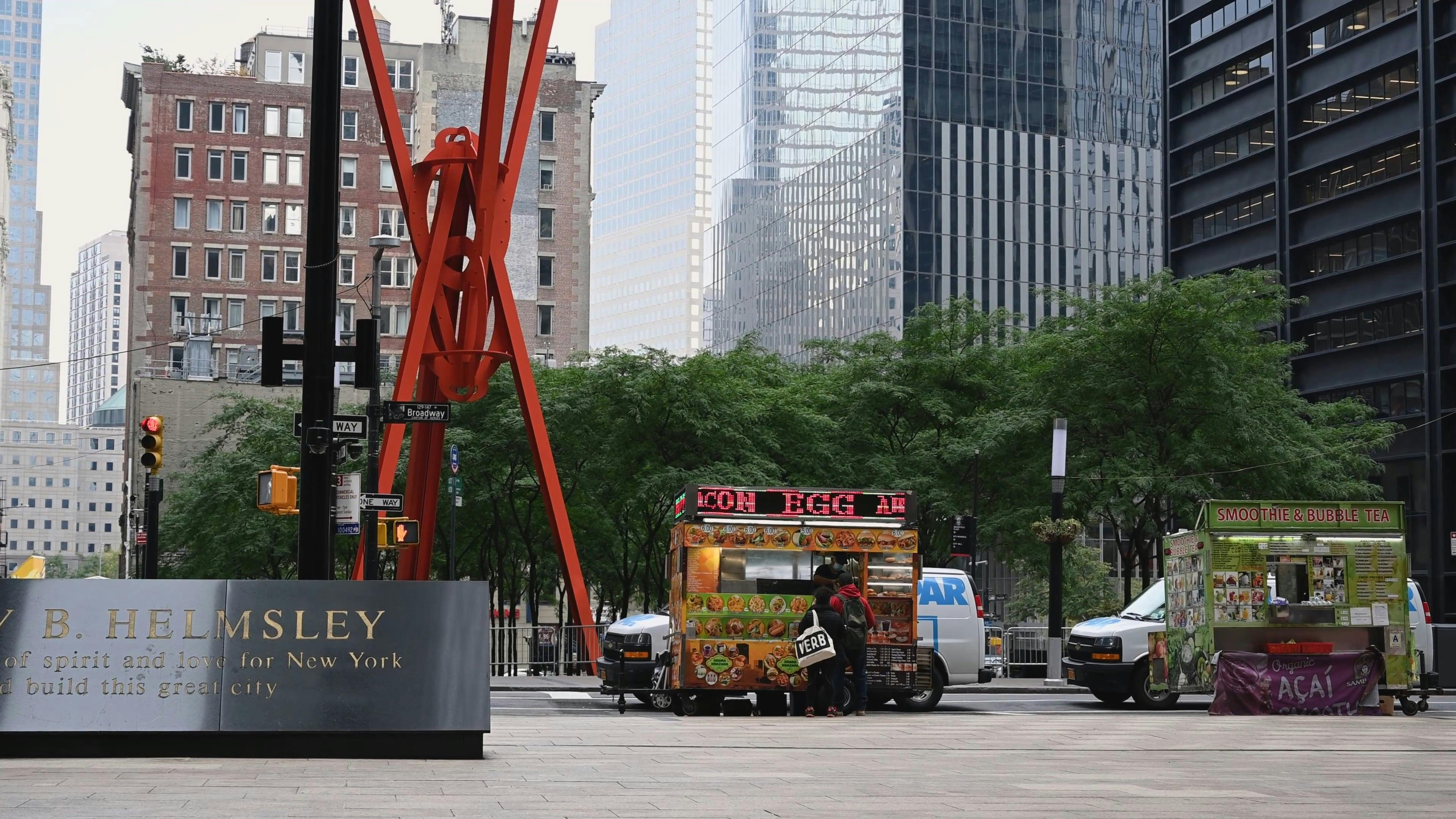 View of Harry B. Helmsley Memorial Free Stock Video Footage, Royalty ...