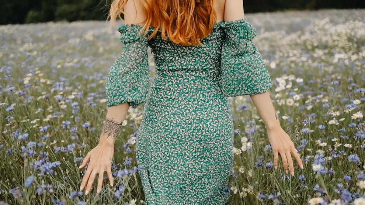 Download Video Pexels Videos, Download The BEST Free 4k Stock Video ...