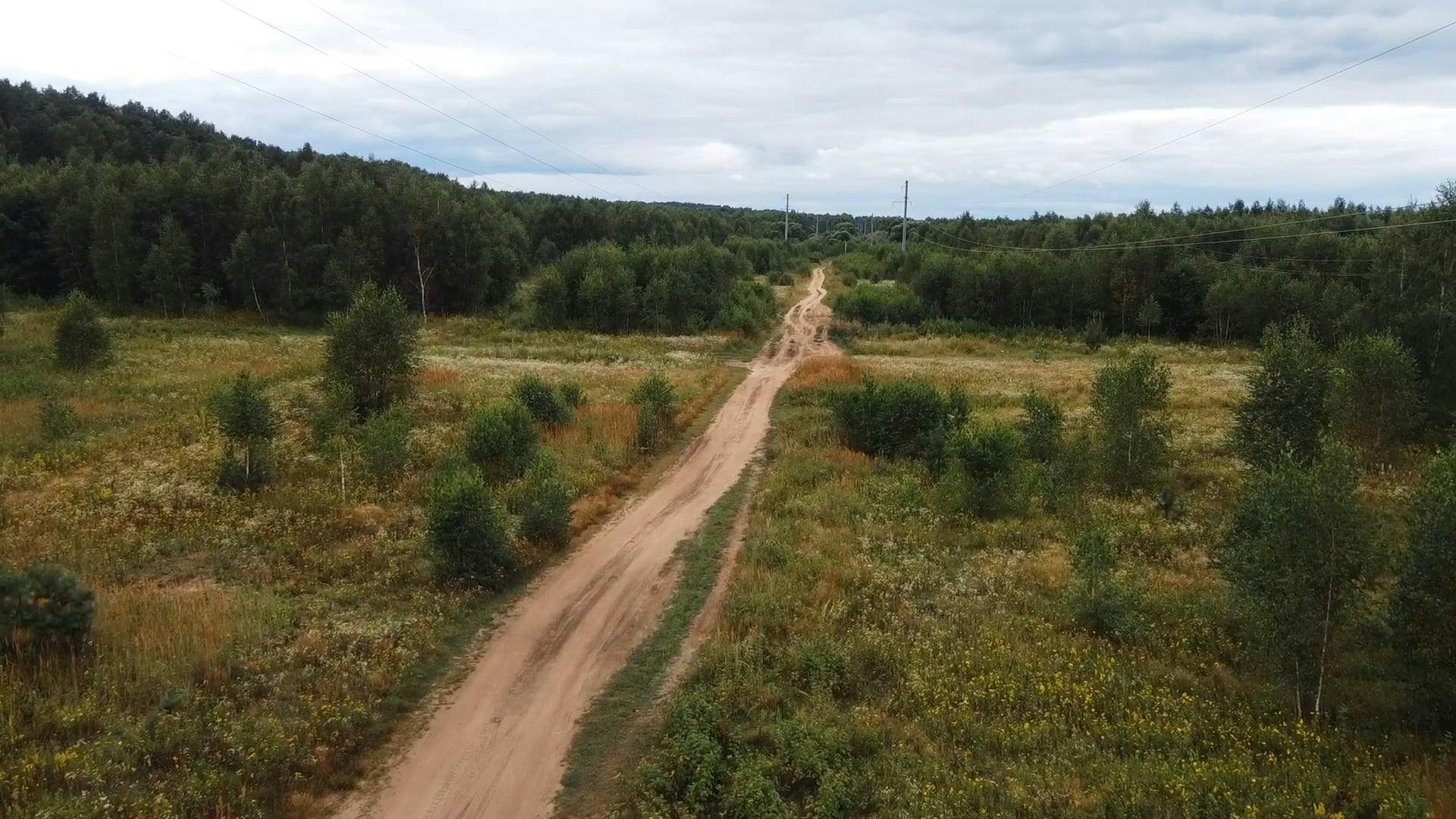 An Off Road With Power Lines At The Side Cutting Through Forest · Free ...