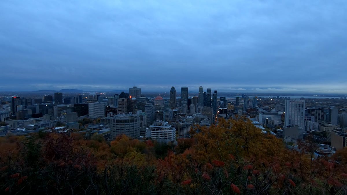 Background Video Videos, Download The BEST Free 4k Stock Video Footage ...