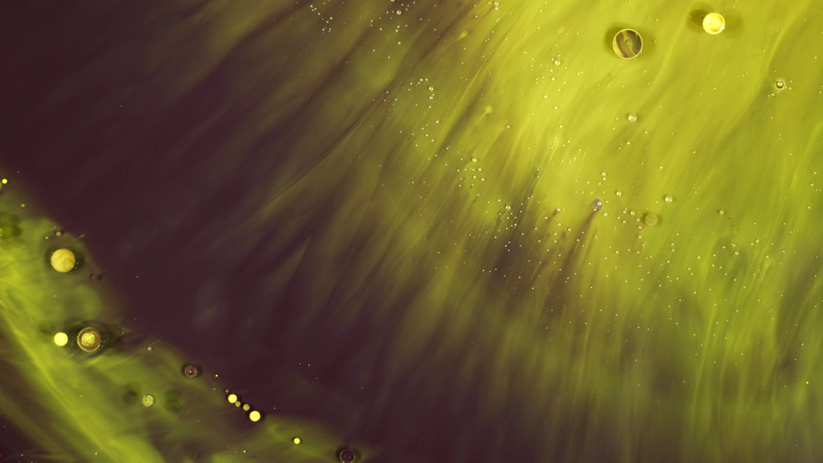 Green Bg Videos, Download The BEST Free 4k Stock Video Footage & Green ...