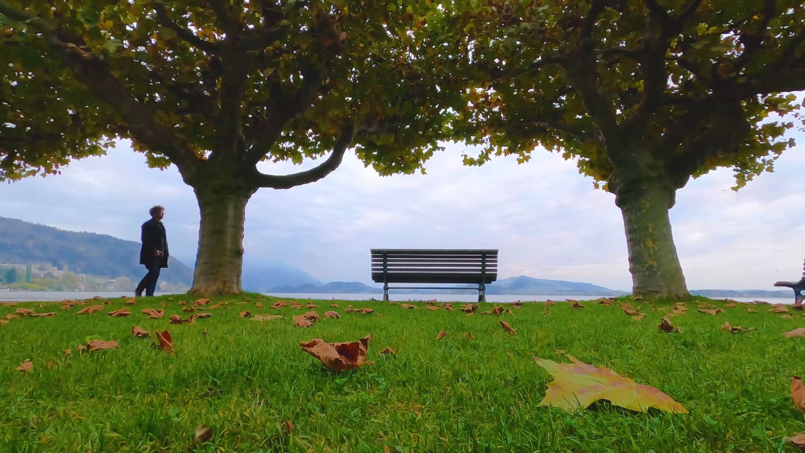 10,000+ Best Walking Alone Videos · 100% Free Download · Pexels Stock ...