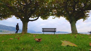 Aesthetic Videos, Download The BEST Free 4k Stock Video Footage ...