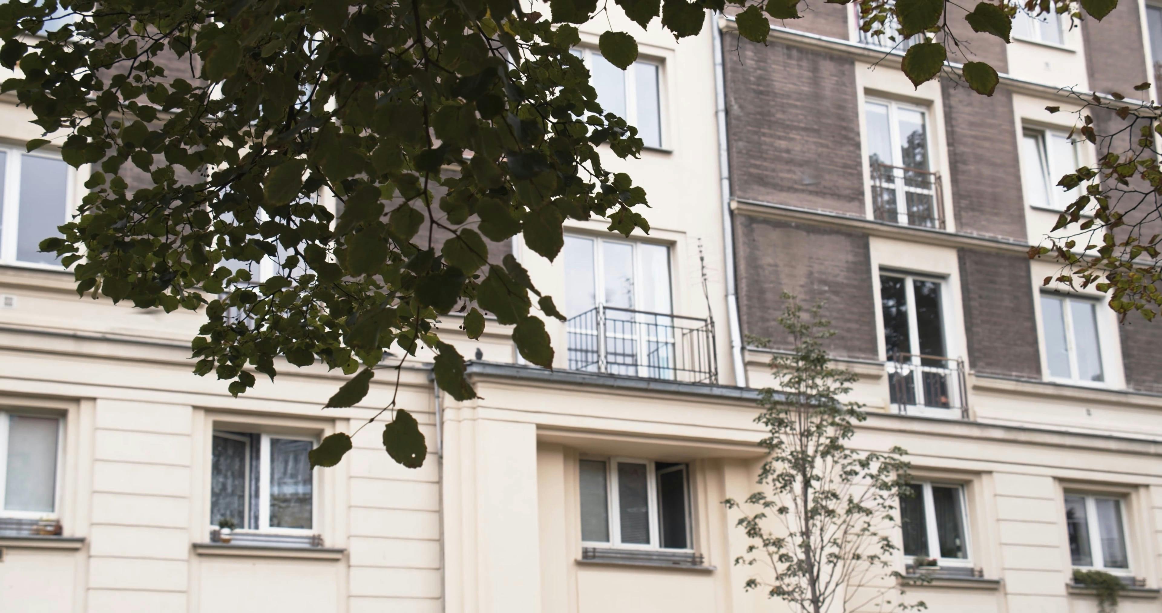 Camera Framing Videos, Download The BEST Free 4k Stock Video Footage ...