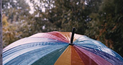 1,576+ Best Free Rain 4K Stock Video Footage & Royalty-Free HD Video Clips