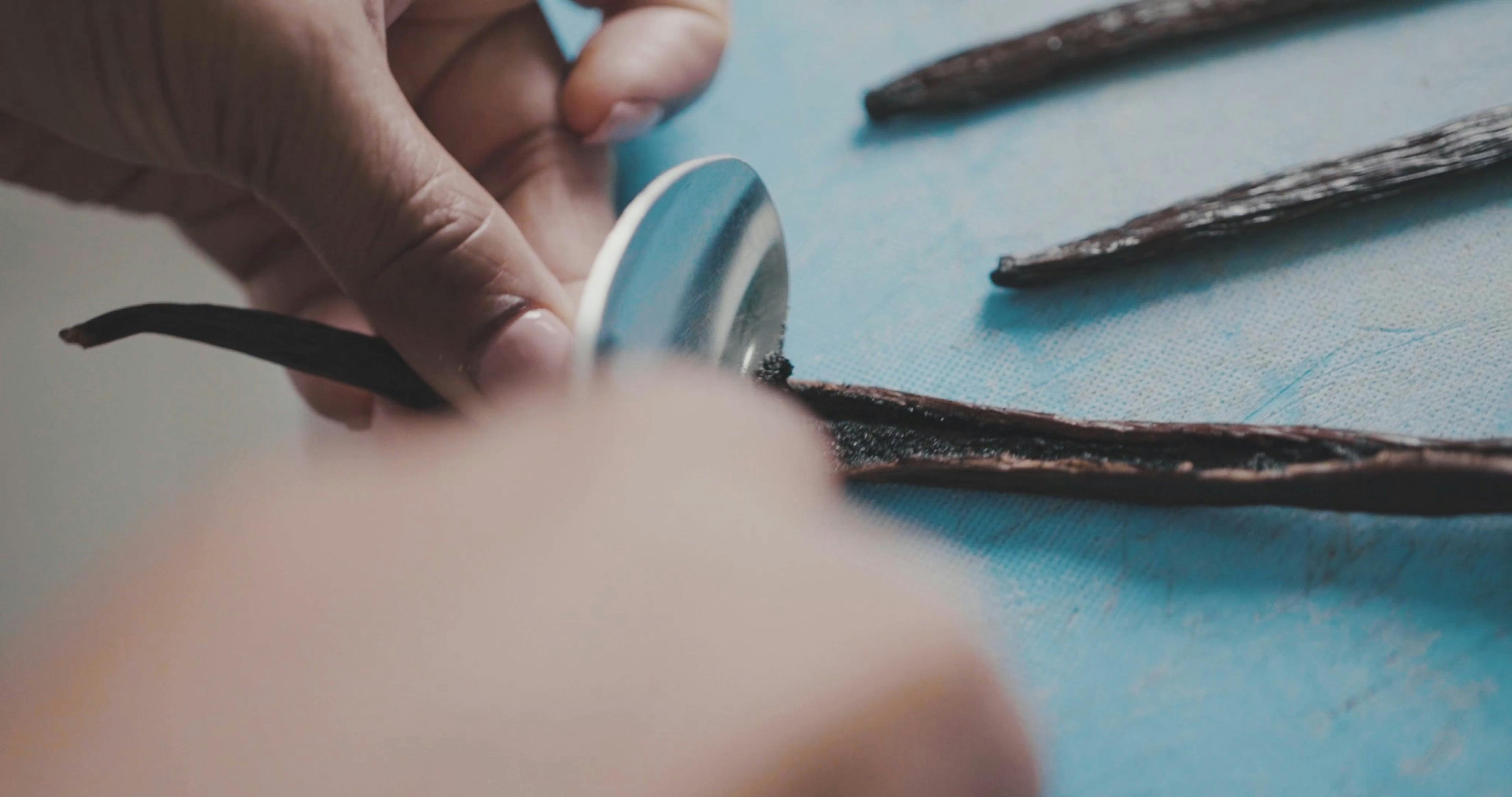Vanilla Beans Videos, Download The BEST Free 4k Stock Video Footage ...