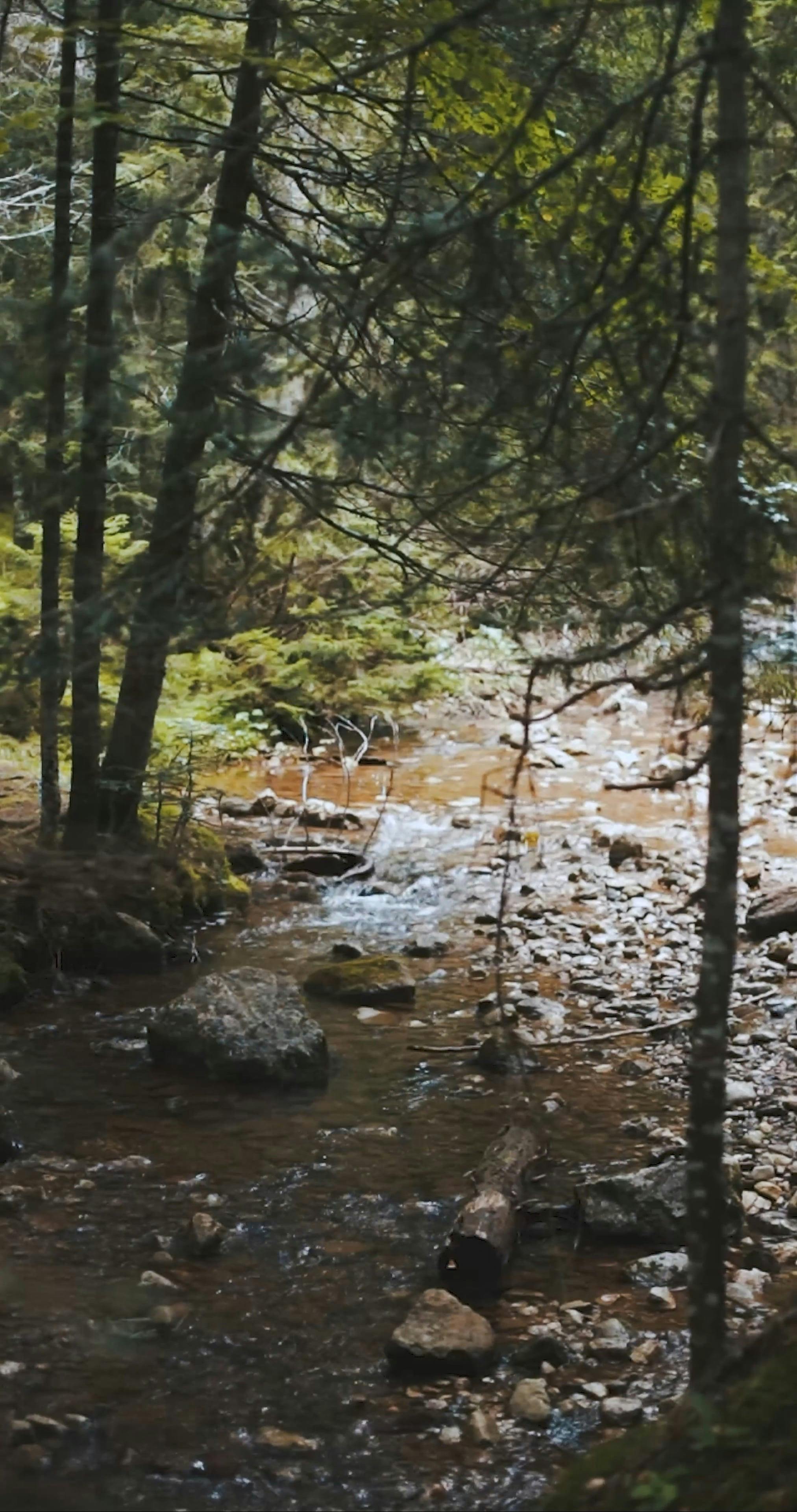 Loose Rocks By The River Side · Free Stock Video