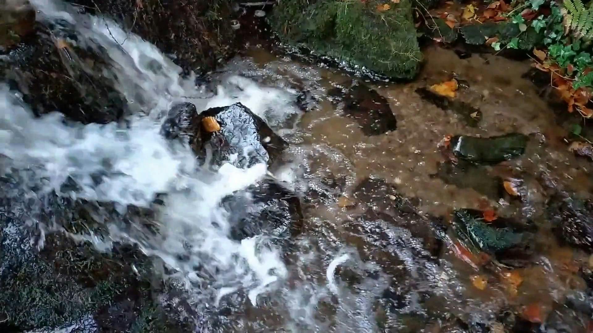 River Stream On A Bed Of Rocks · Free Stock Video