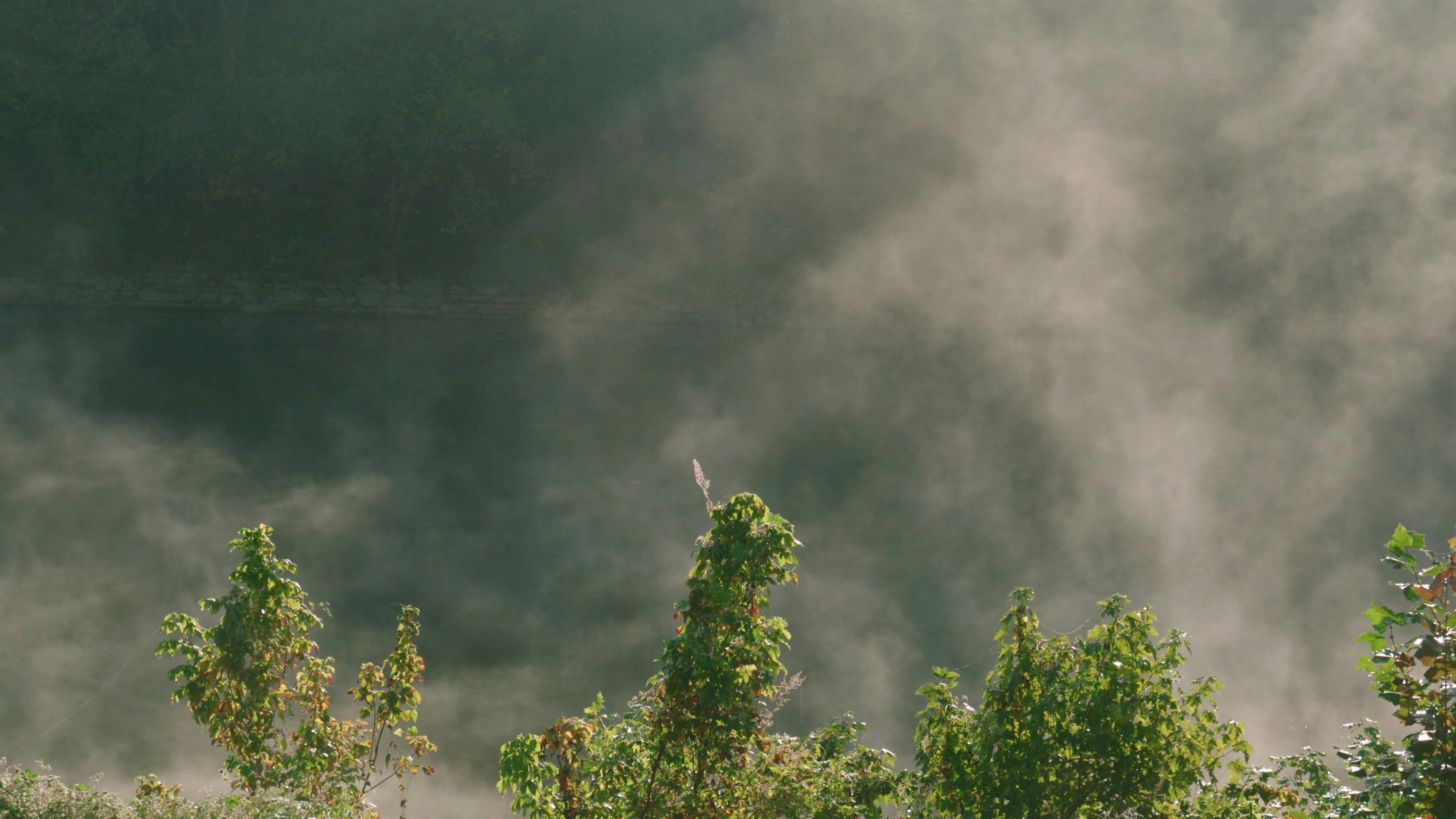 Steaming Water on the Lake · Free Stock Video