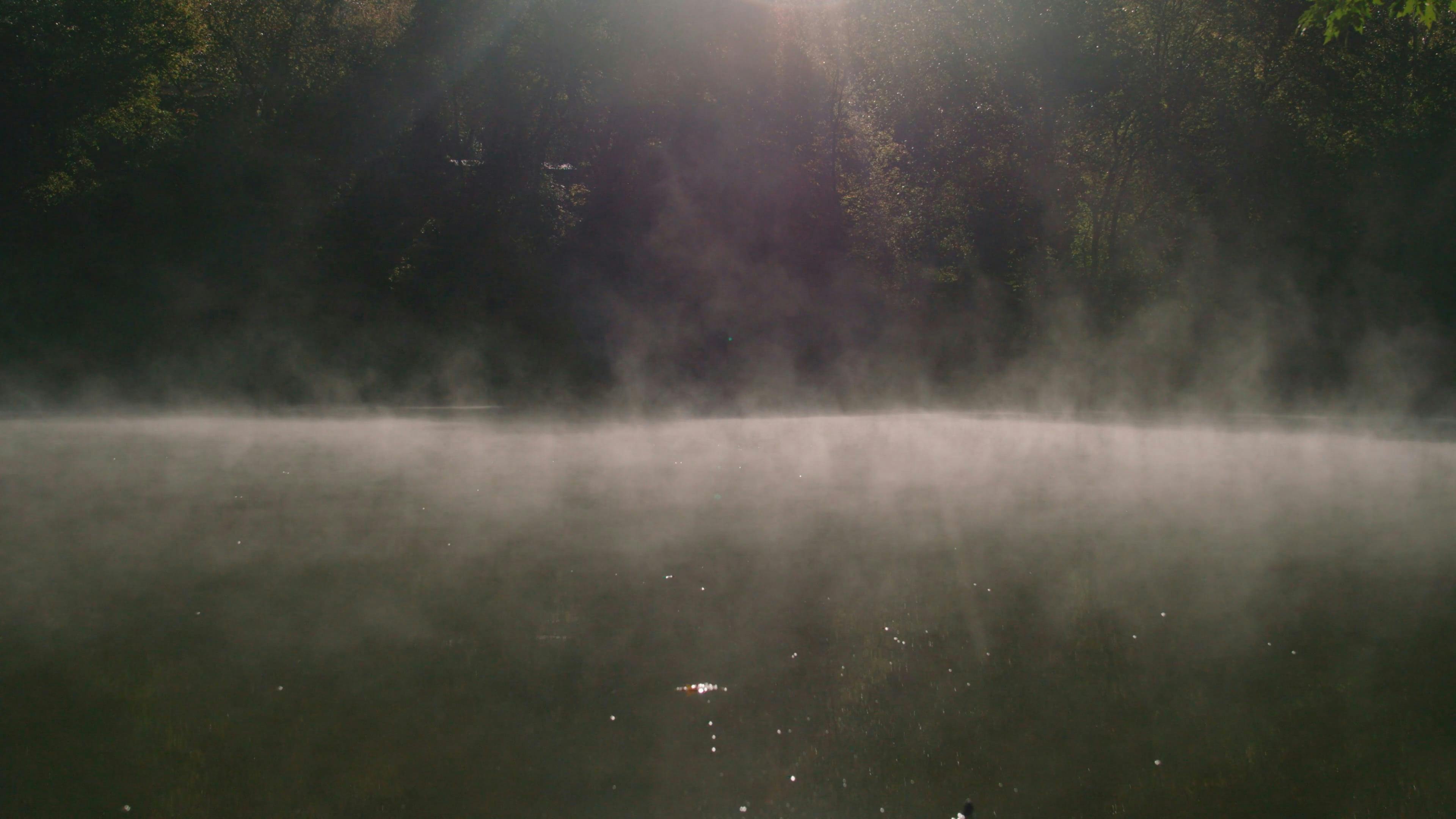 Mist Over Forest River Free Stock Video Footage, Royalty-Free 4K & HD ...