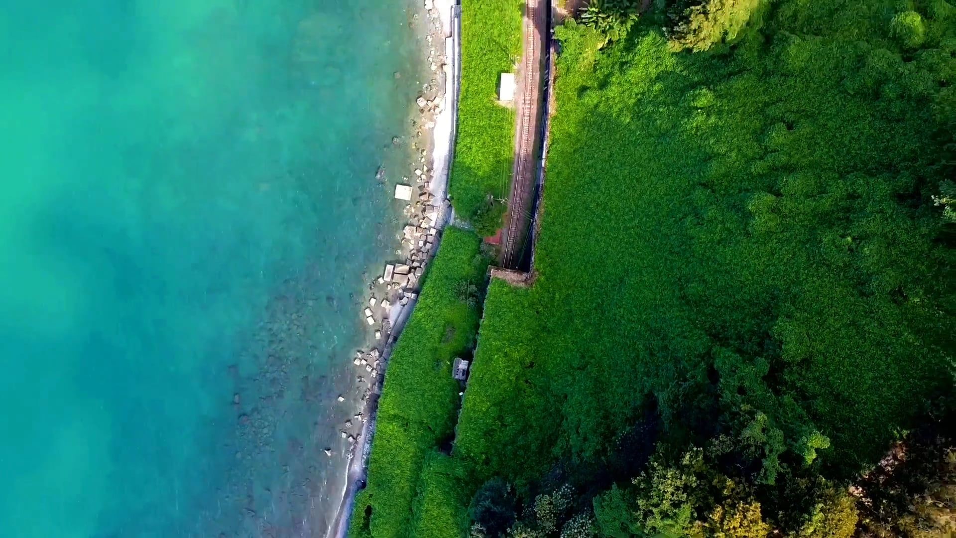 Blue Shore with Green Grass Free Stock Video Footage, Royalty-Free 4K ...