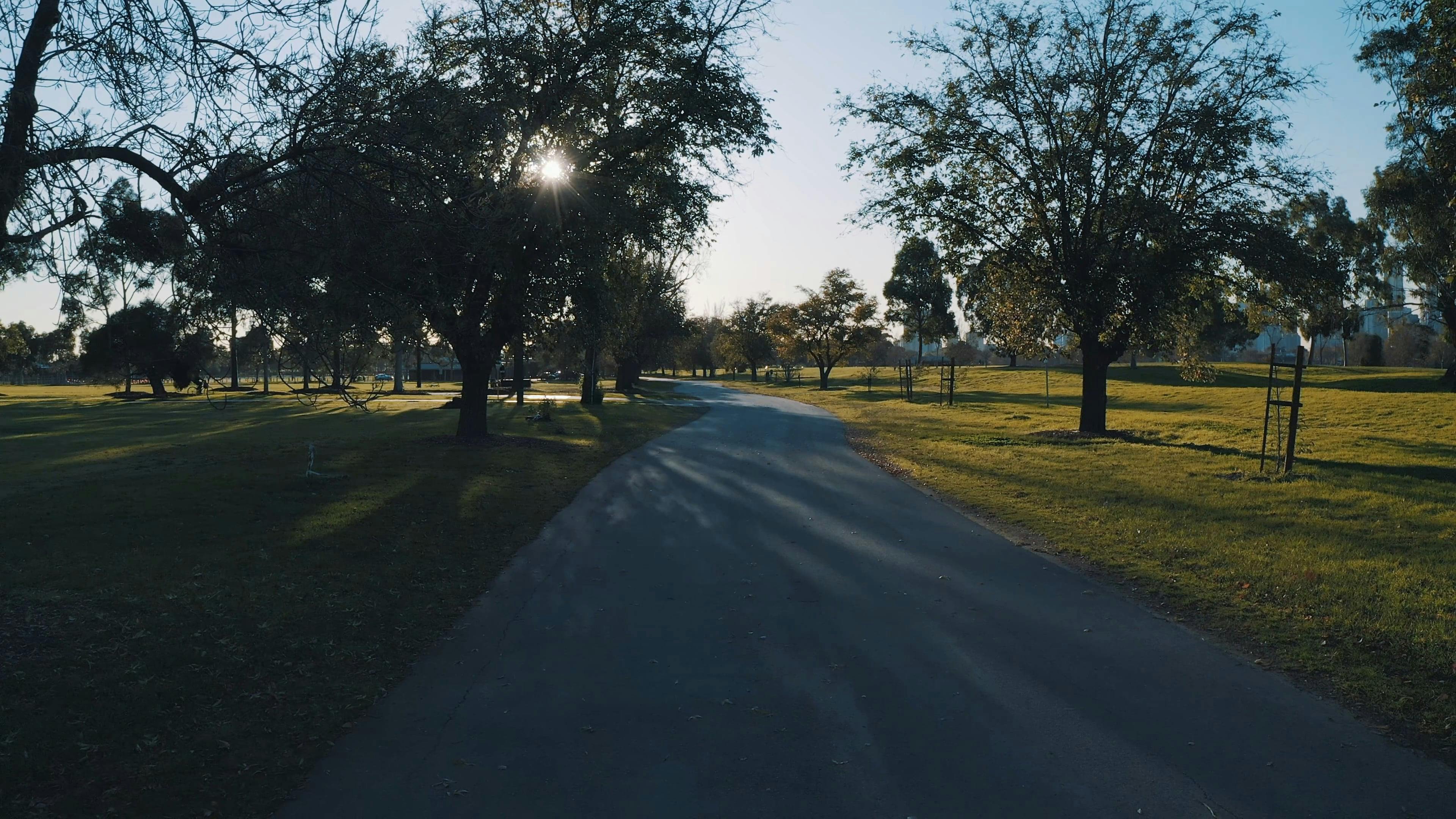 Sunny Day in a Park Free Stock Video Footage, Royalty-Free 4K & HD ...