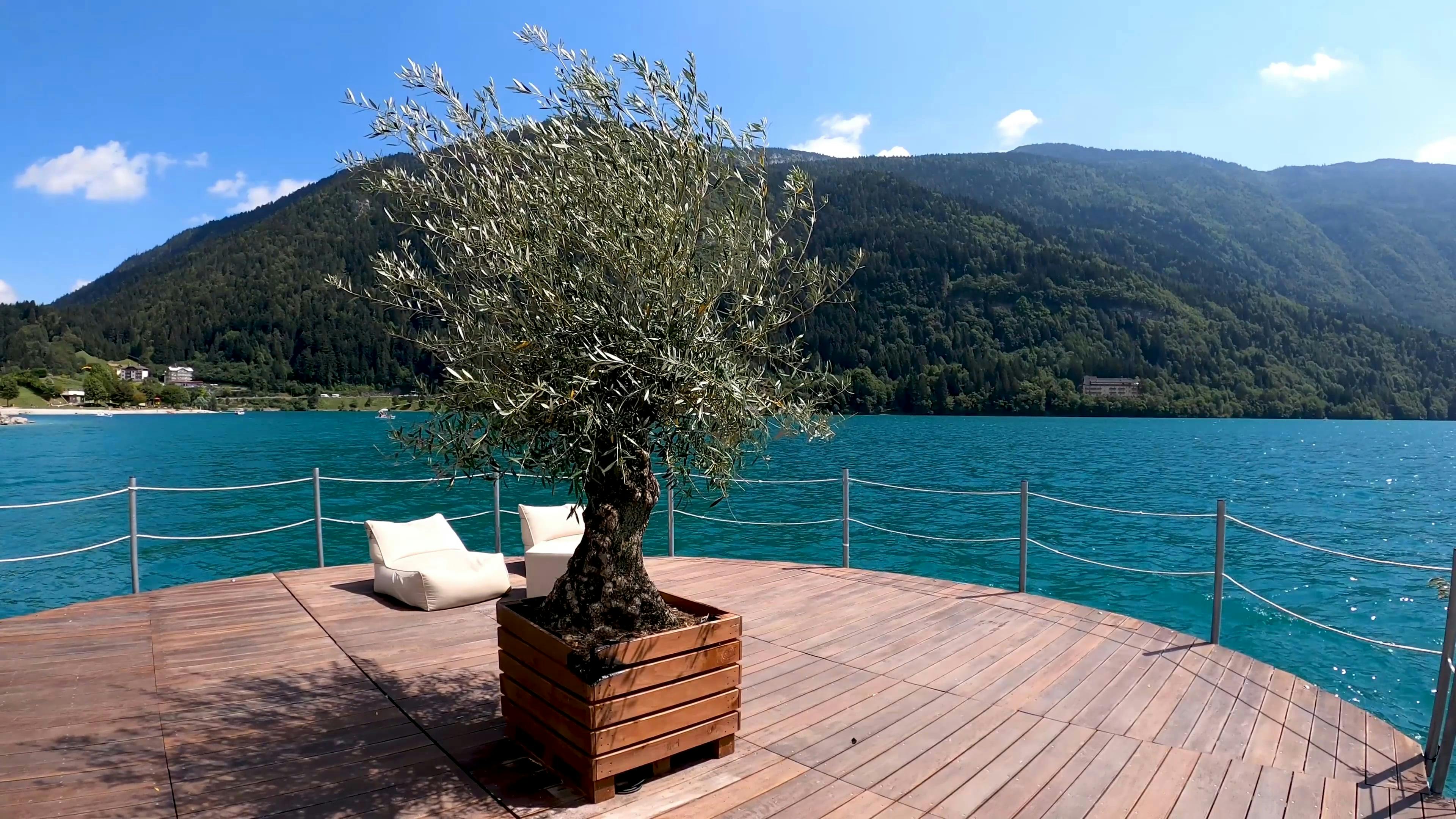 Deck 4k Videos, Download The BEST Free 4k Stock Video Footage & Deck 4k ...