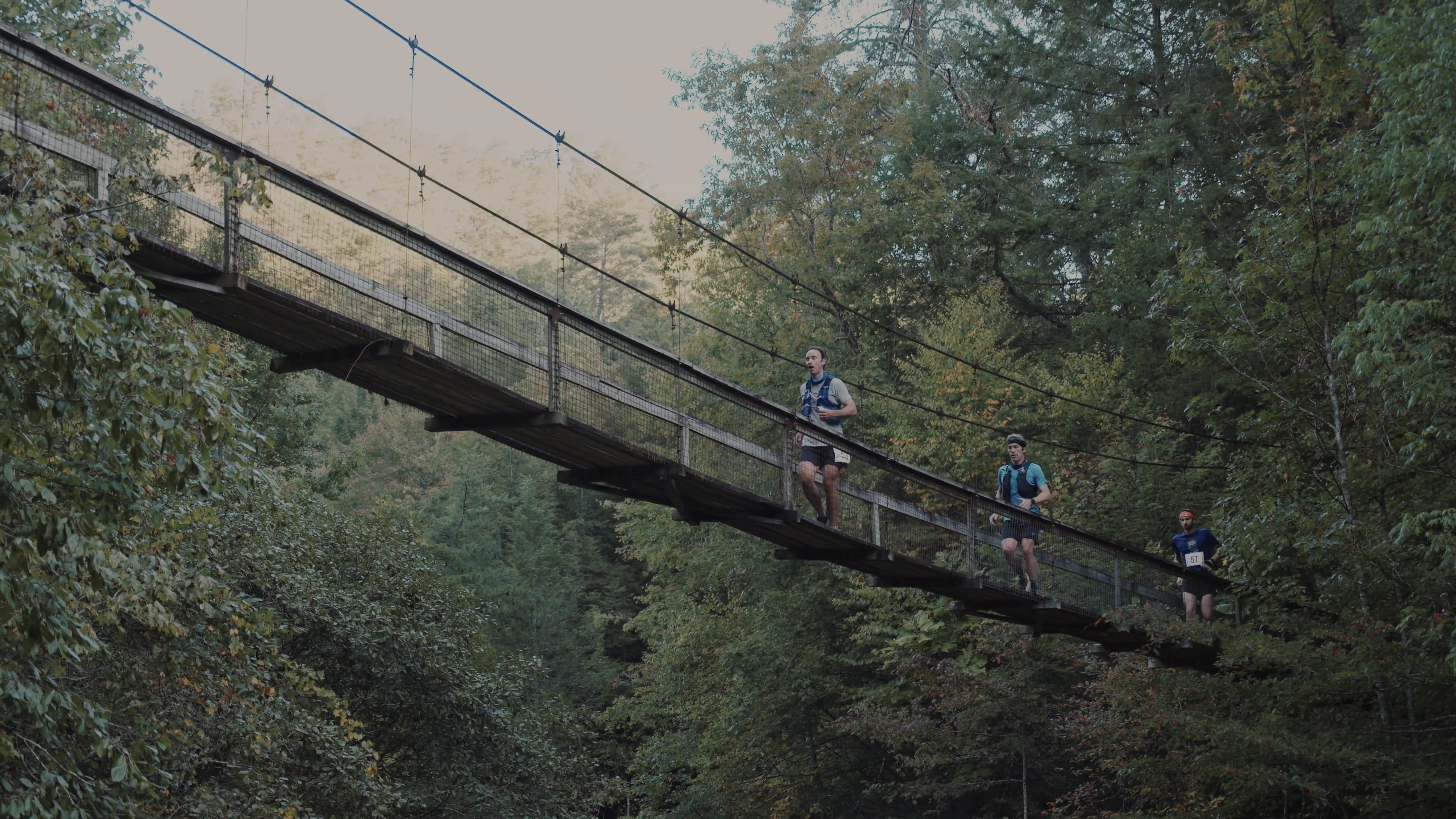Men running over the hanging bridge in the forest Free Stock Video ...