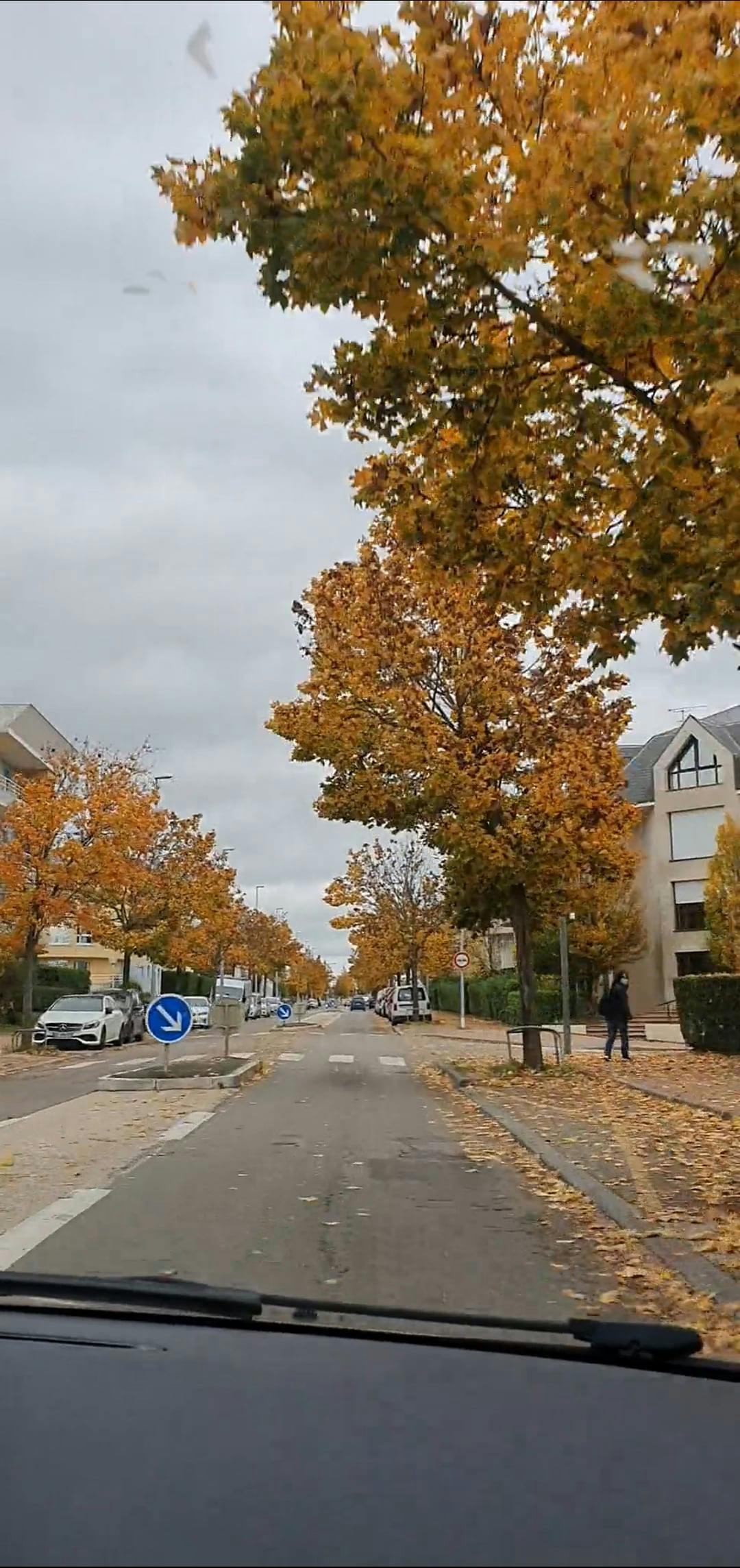 Urban Ride During Fall Season Free Stock Video Footage, Royalty-Free 4K ...