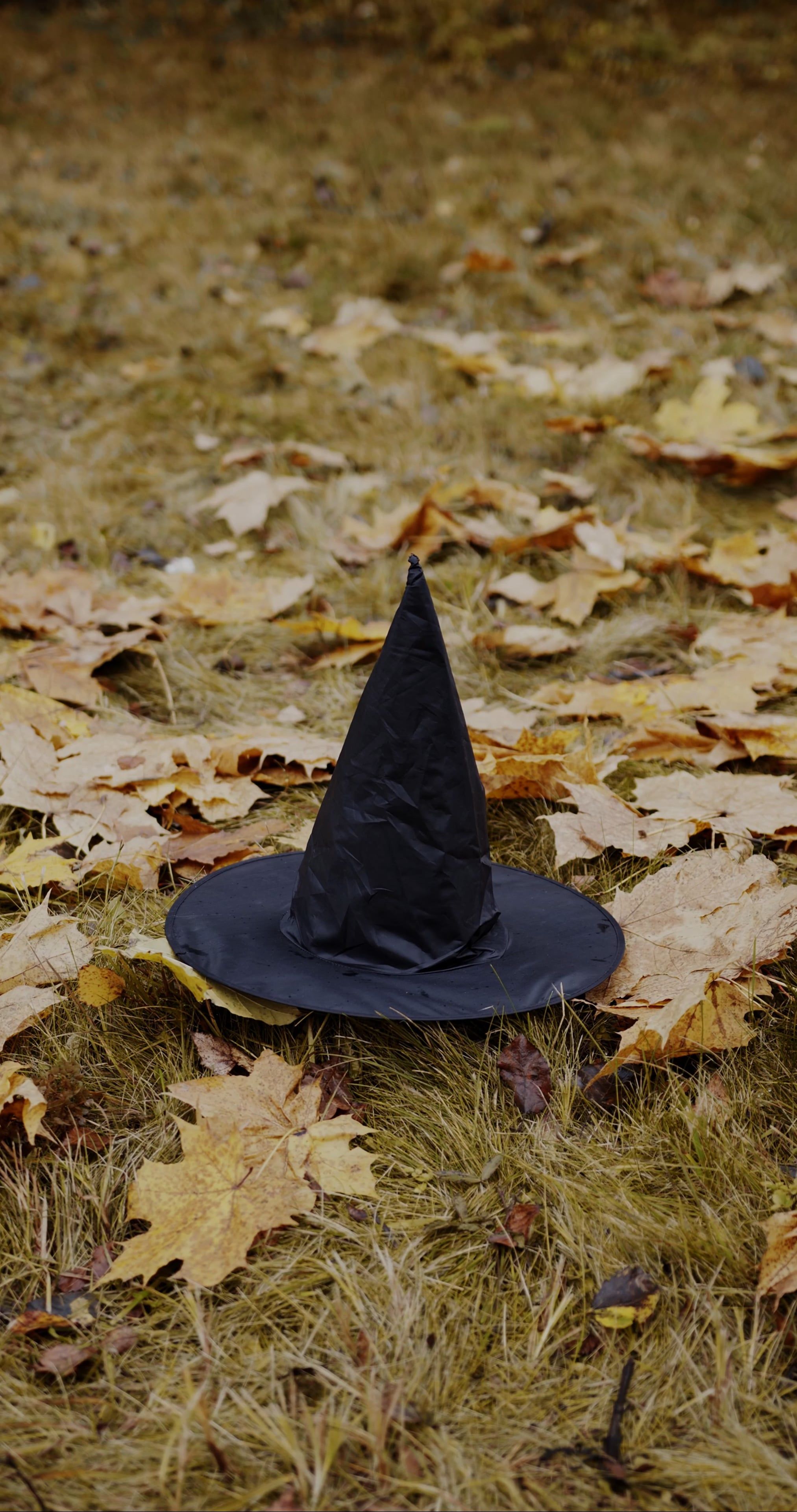 A Witch Pointed Hat On The Grounfd Free Stock Video Footage, Royalty ...