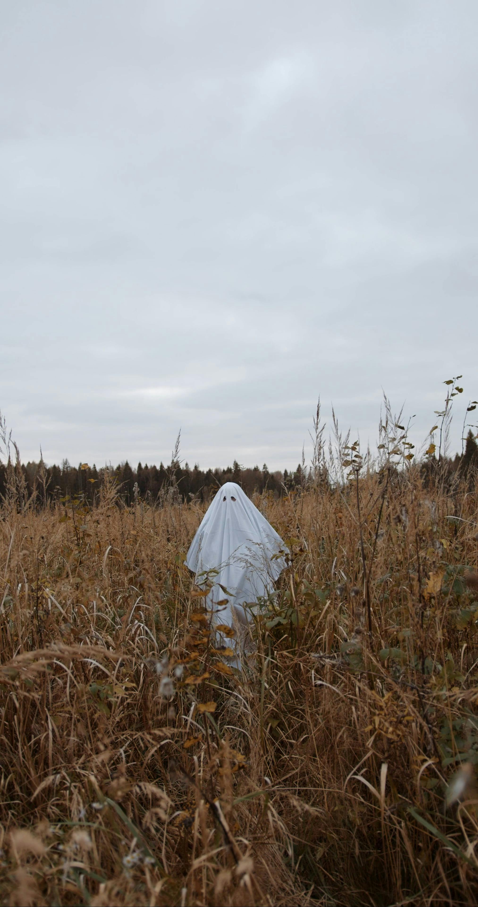 A Ghost Character Standing Still In The Bush Field Free Stock Video ...