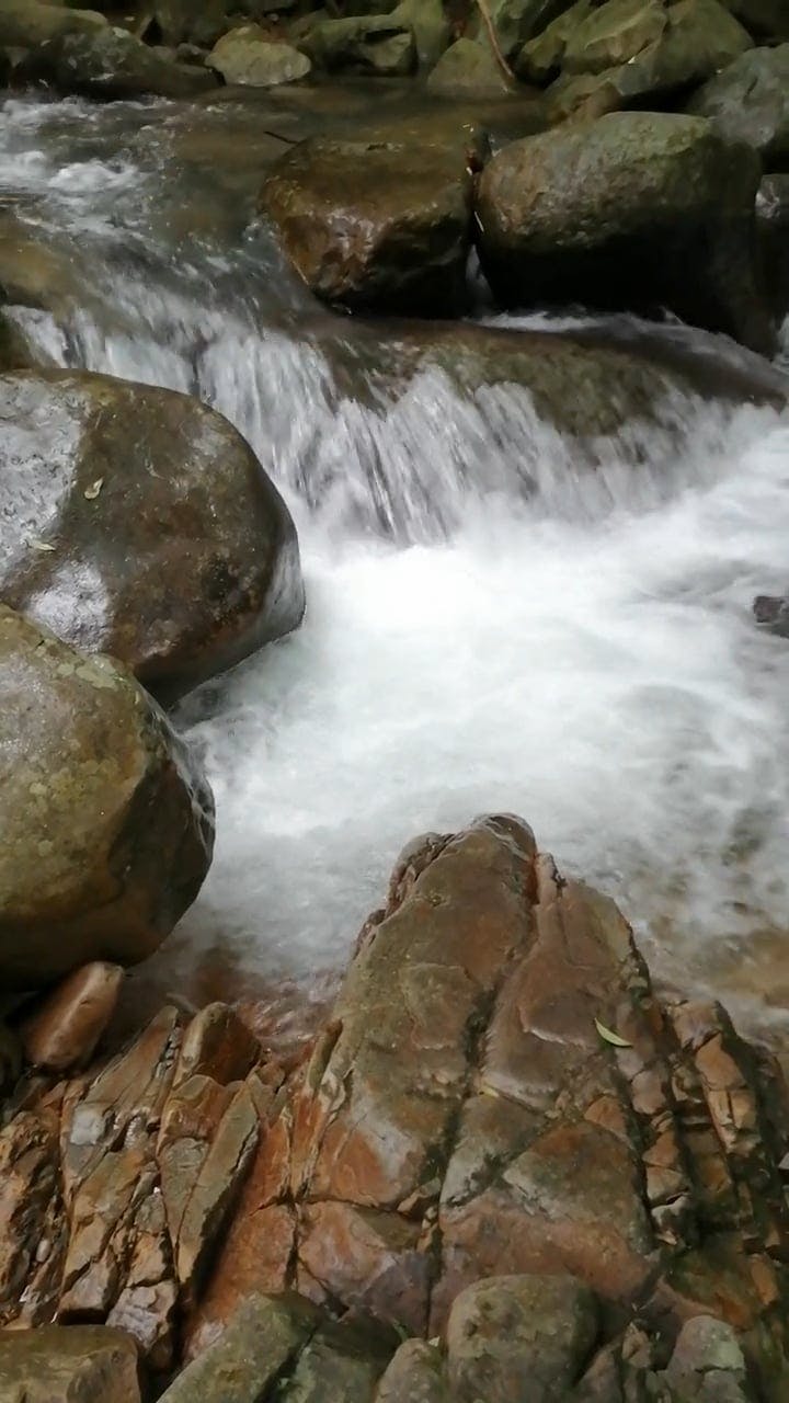 A Flowing Clean River · Free Stock Video