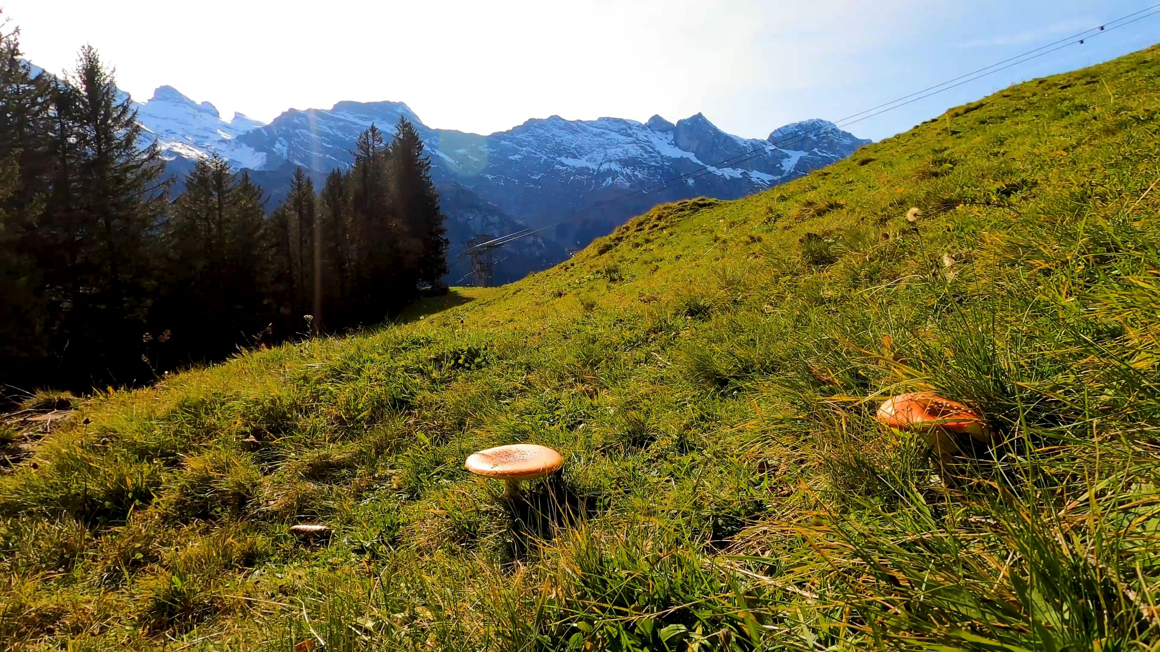 Drone Footage of Swiss Alps Free Stock Video Footage, Royalty-Free 4K ...