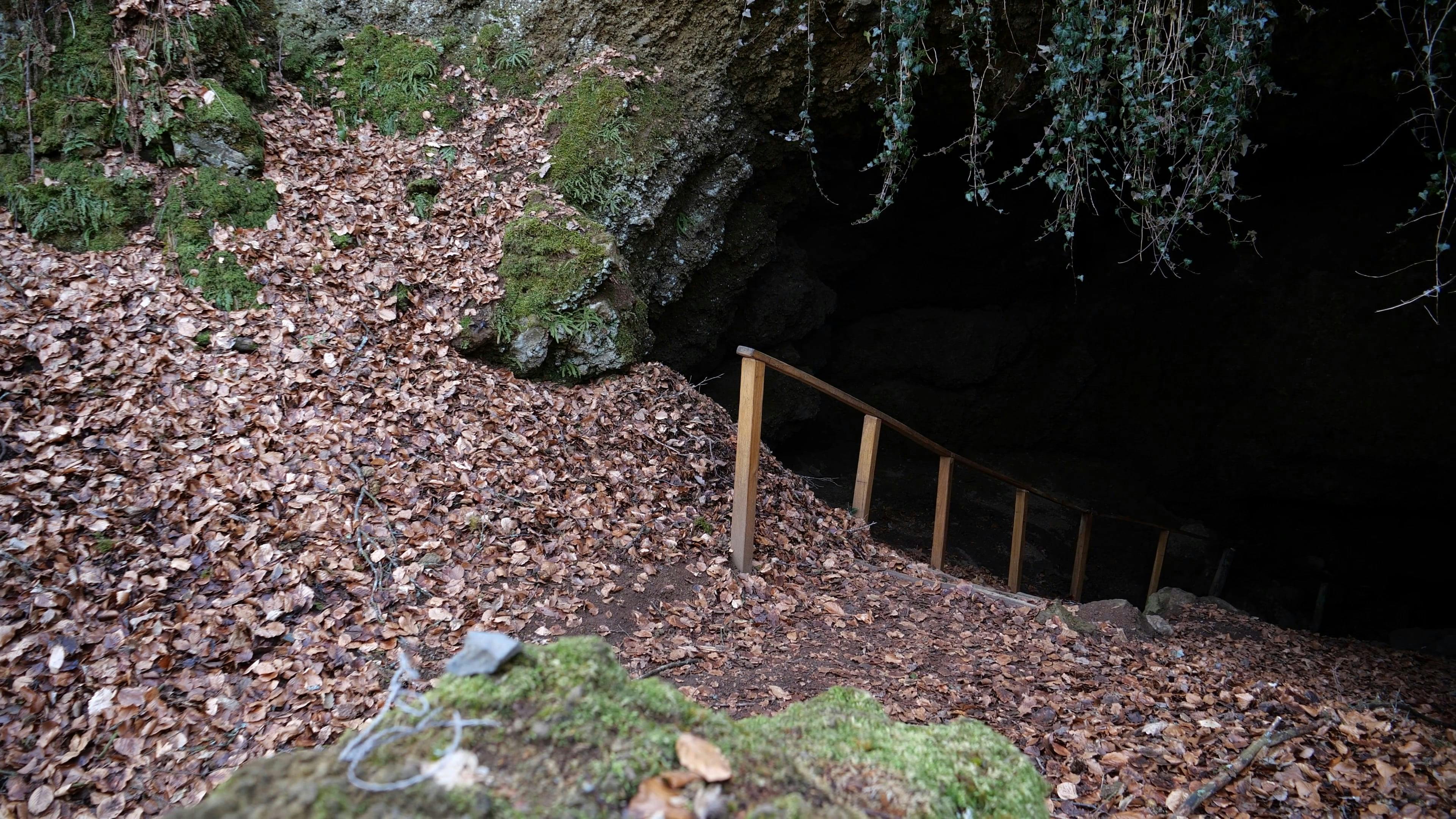 Forest Cave Entrance Free Stock Video Footage, Royalty-Free 4K & HD ...