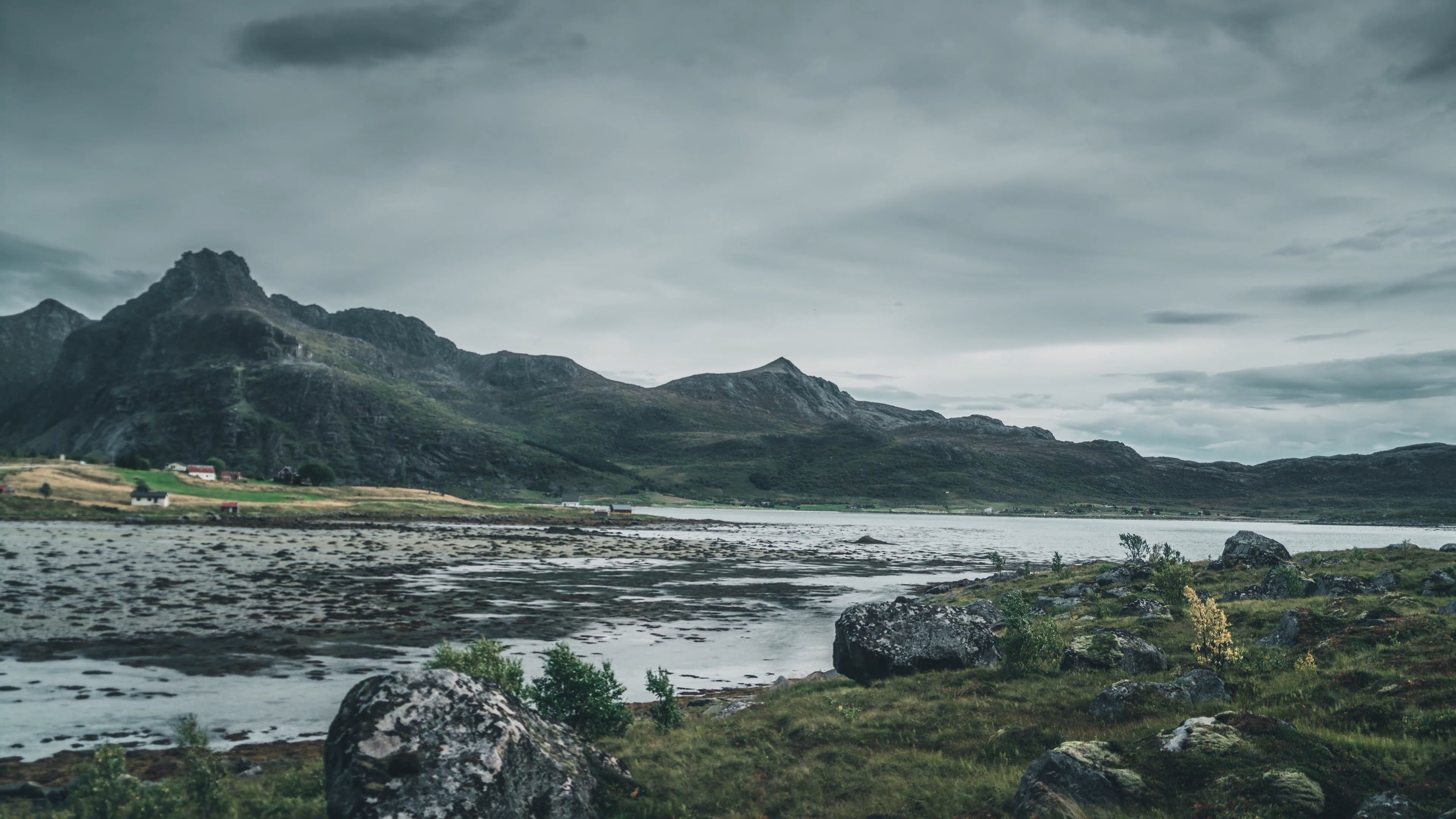 Cool Forests Videos, Download The BEST Free 4k Stock Video Footage ...
