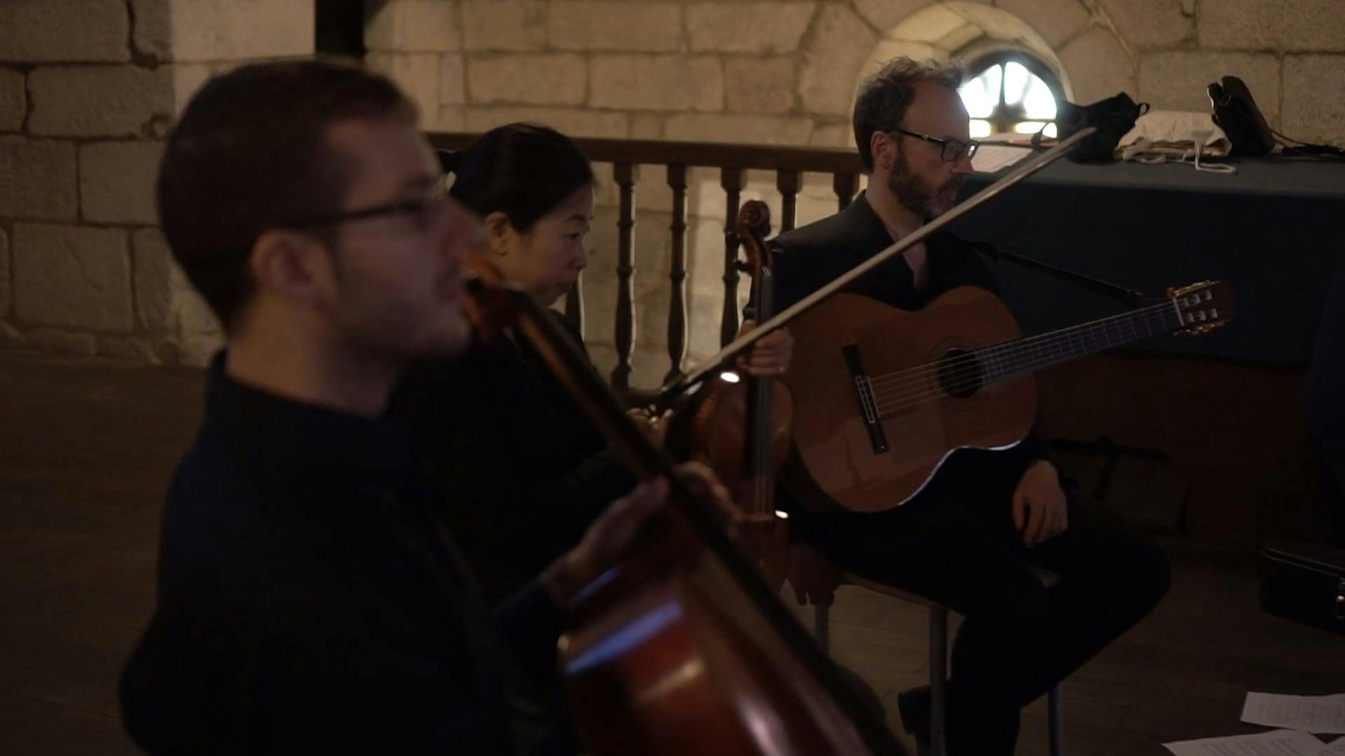 Musicians Talking With Each Other Free Stock Video Footage, Royalty ...