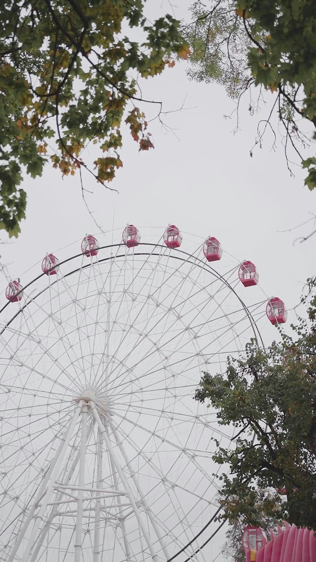 Motivational Low Attraction Background Videos, Download The BEST Free ...