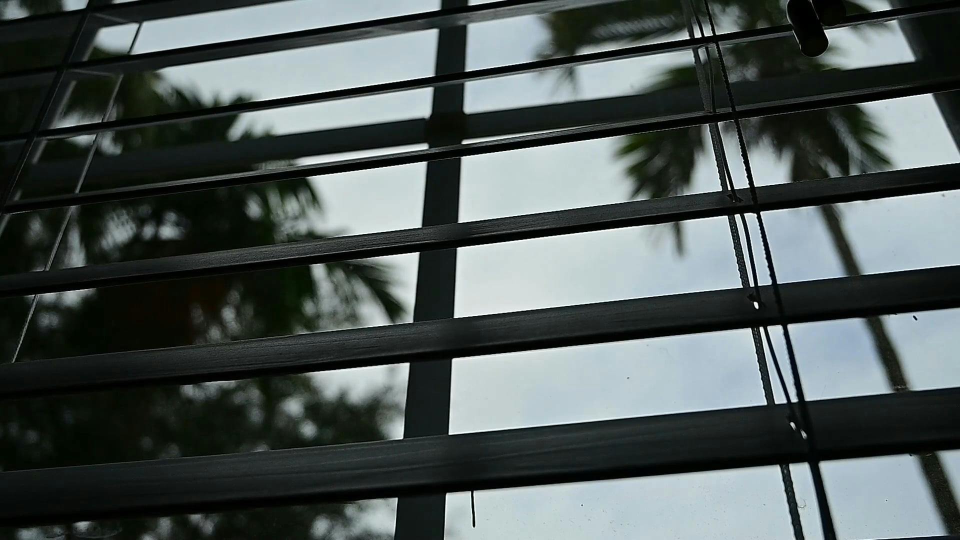 Window Blinds Free Stock Video Footage, Royalty-Free 4K & HD Video Clip